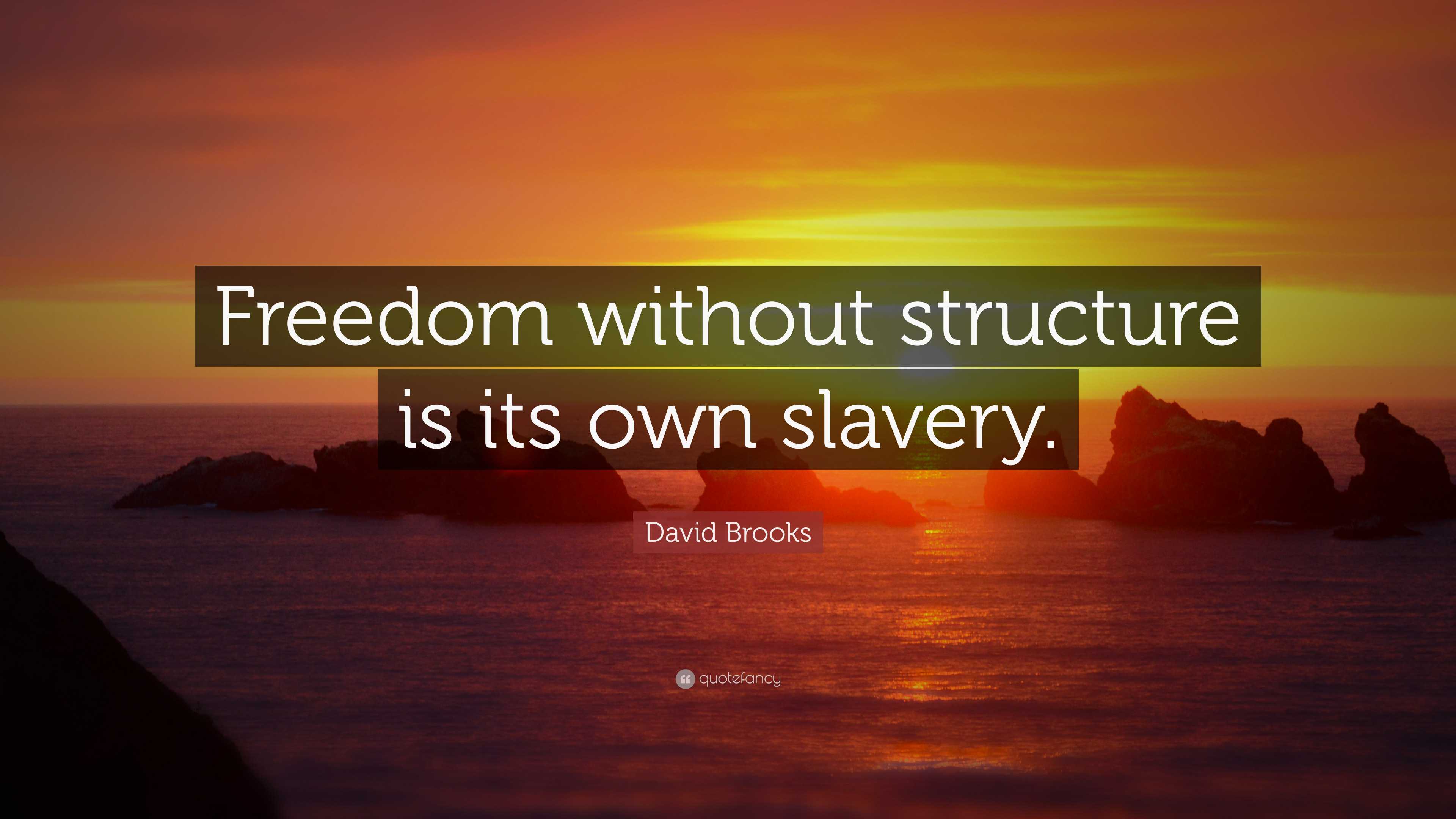 David Brooks Quote: “Freedom without structure is its own slavery.”