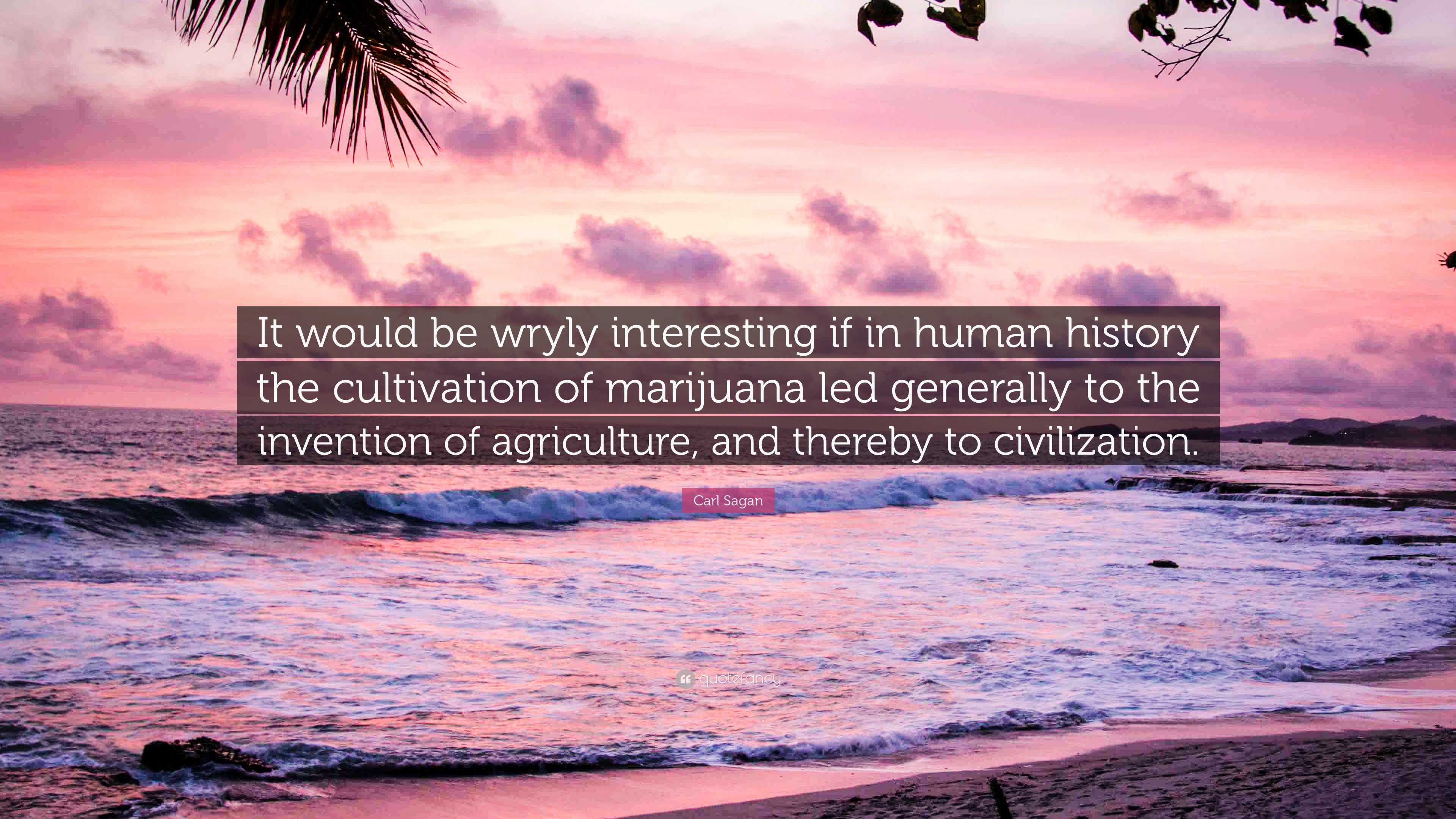 Carl Sagan Quote: “It would be wryly interesting if in human history ...