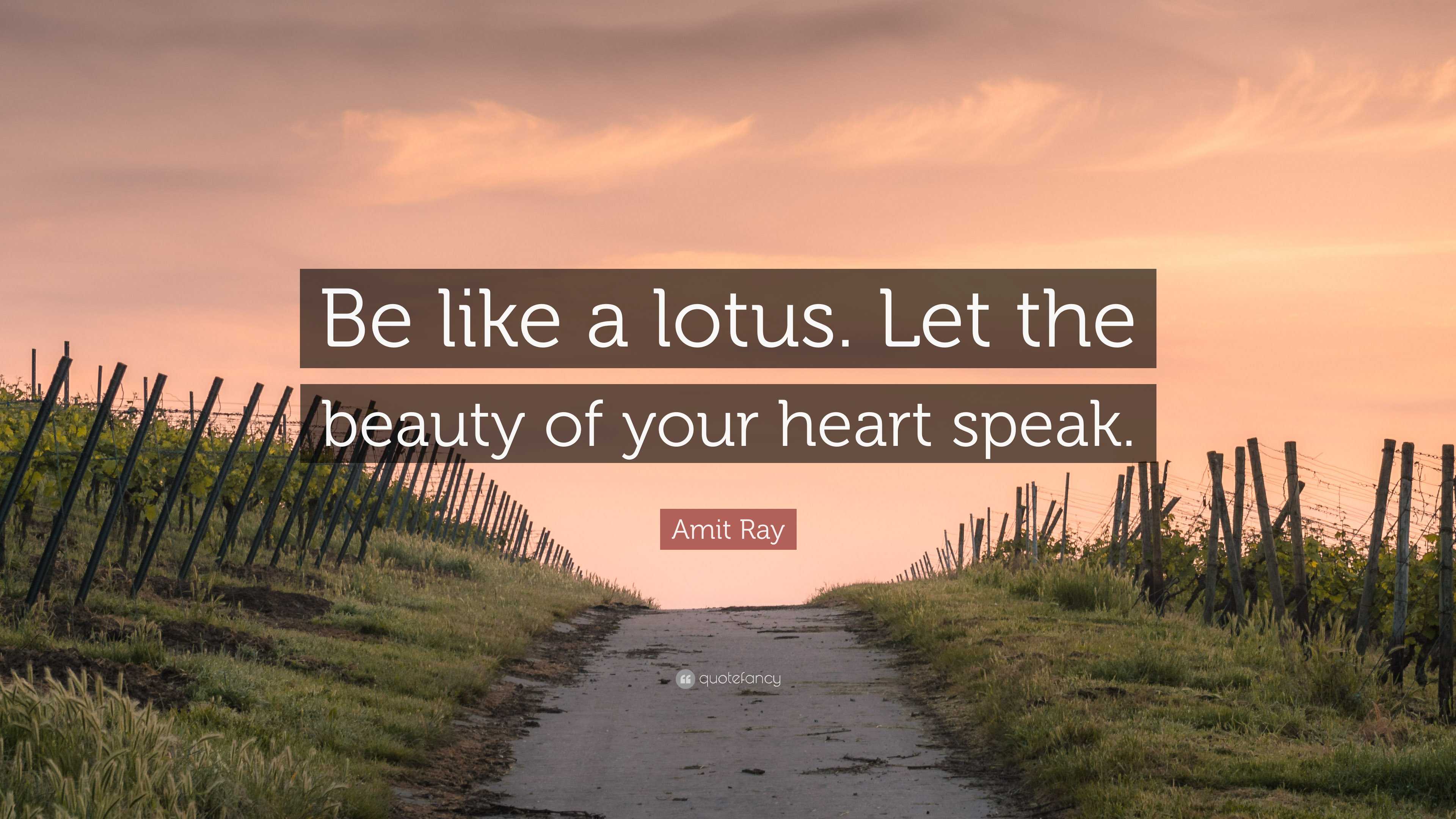 Amit Ray Quote: “Be like a lotus. Let the beauty of your heart speak.”