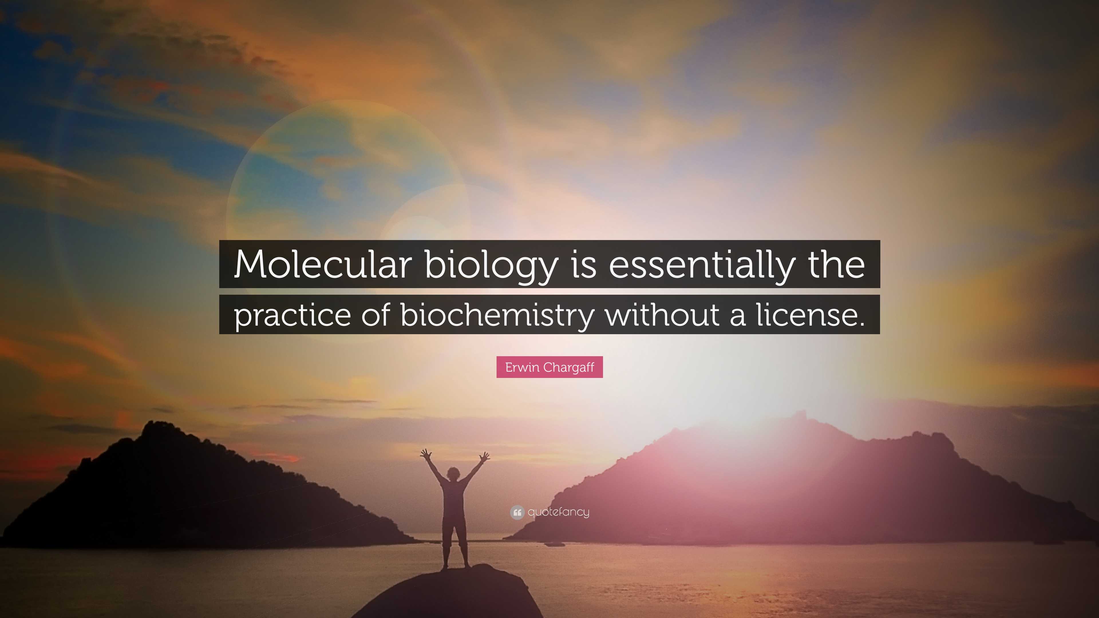 Erwin Chargaff Quote: “Molecular biology is essentially the practice of ...