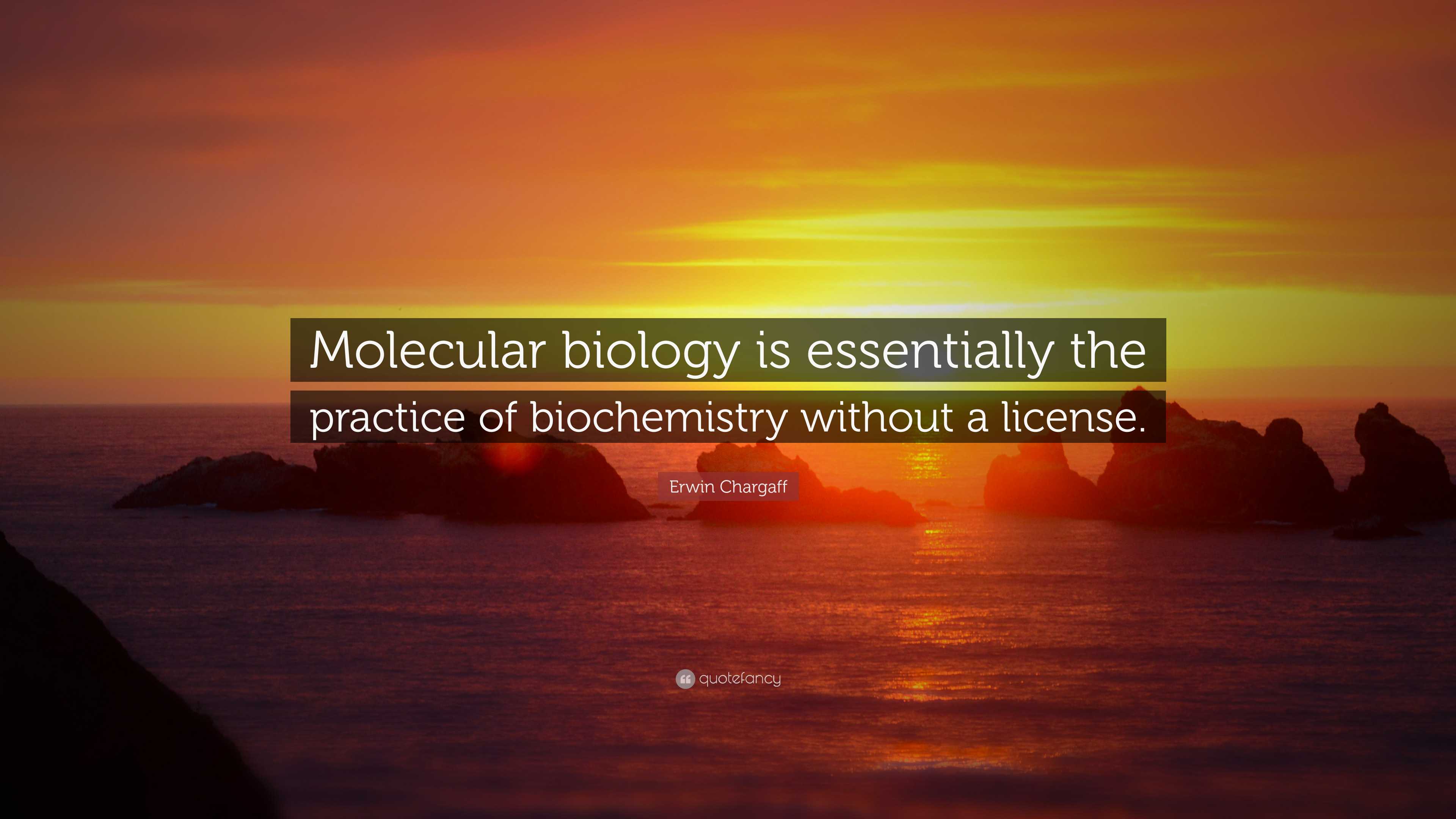 Erwin Chargaff Quote: “Molecular biology is essentially the practice of ...