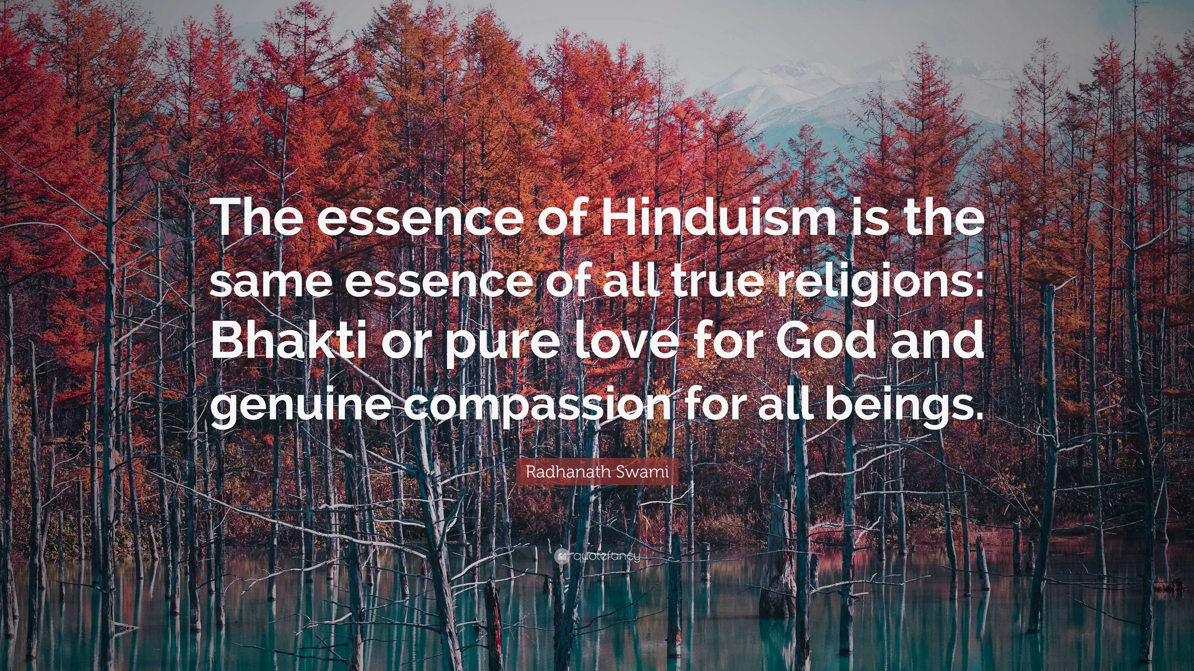 Radhanath Swami Quote: “The essence of Hinduism is the same essence of ...