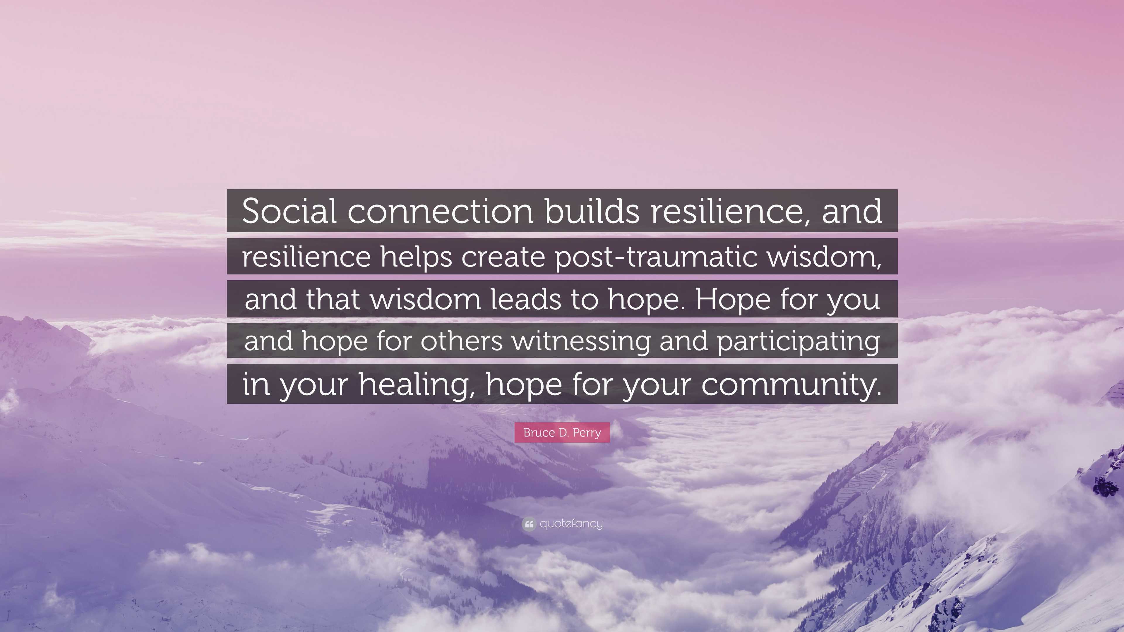 Bruce D. Perry Quote: “Social connection builds resilience, and ...