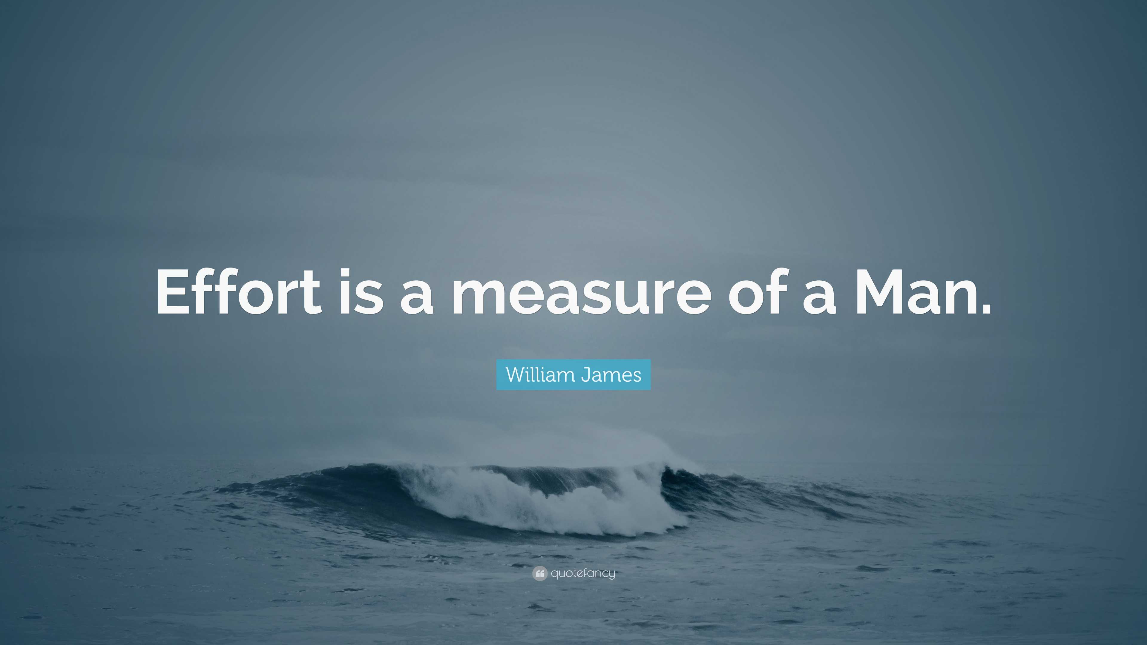 William James Quote: “Effort is a measure of a Man.”