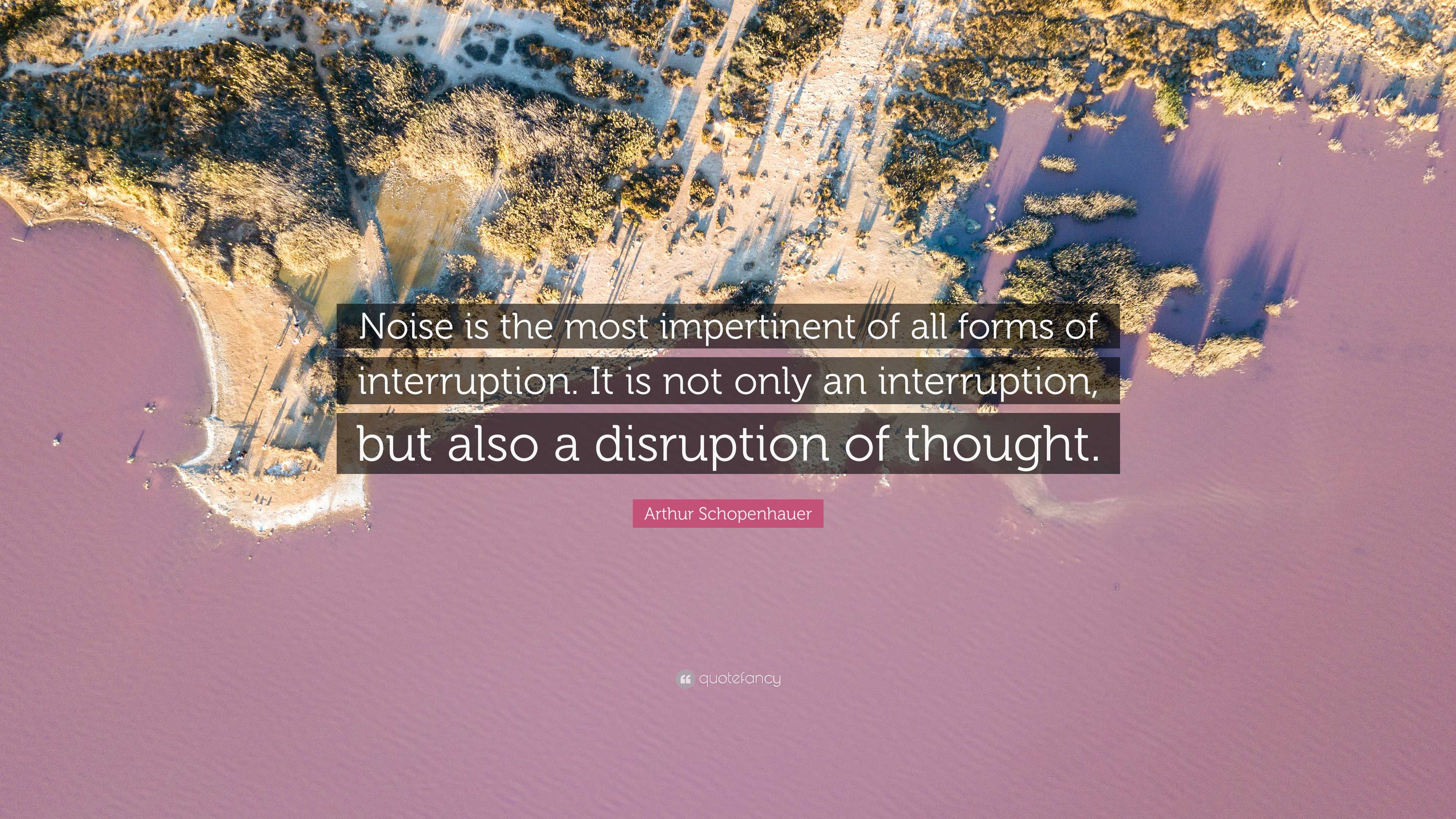 Arthur Schopenhauer Quote: “Noise is the most impertinent of all forms ...