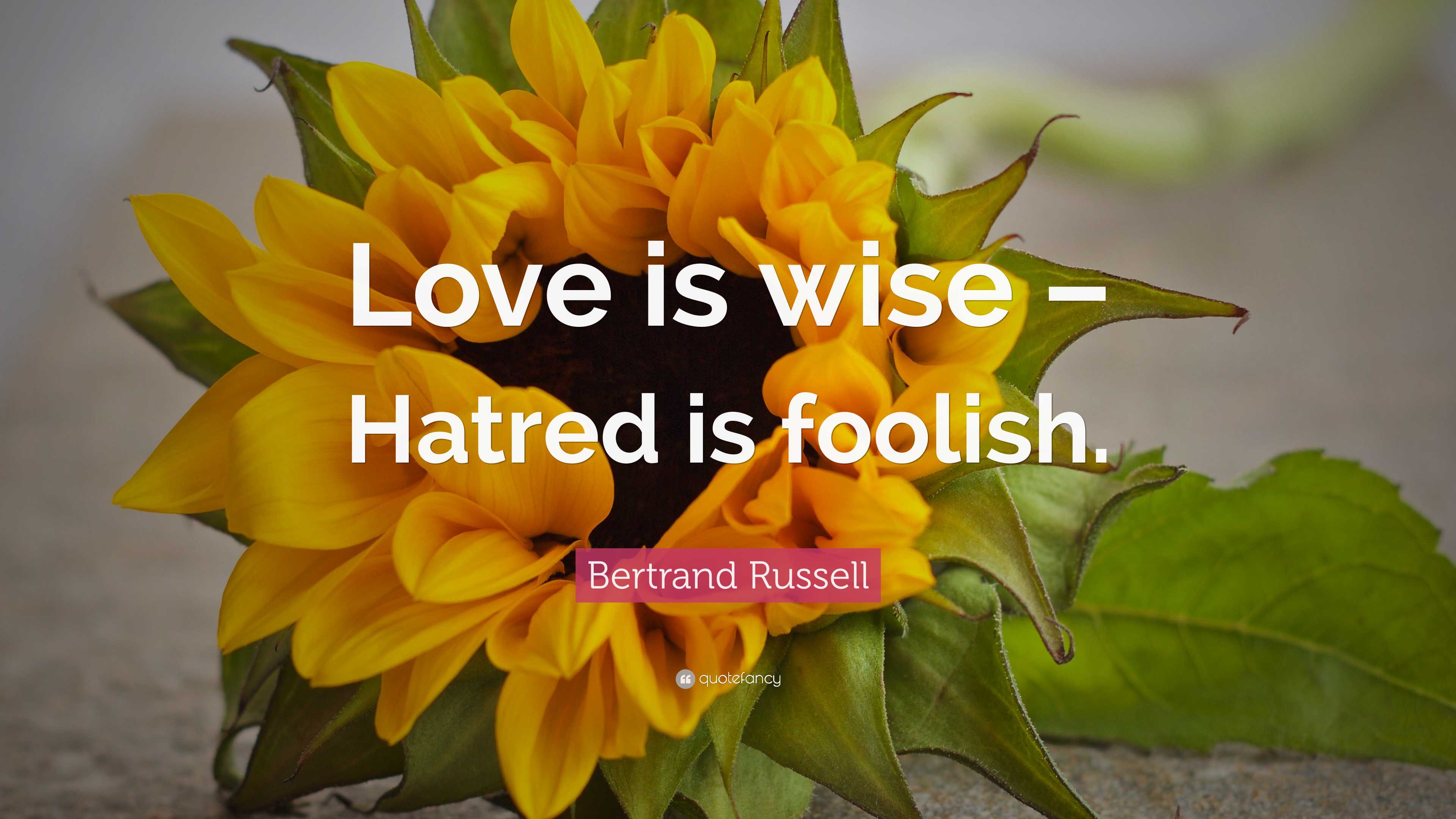 Bertrand Russell Quote: “Love is wise – Hatred is foolish.”