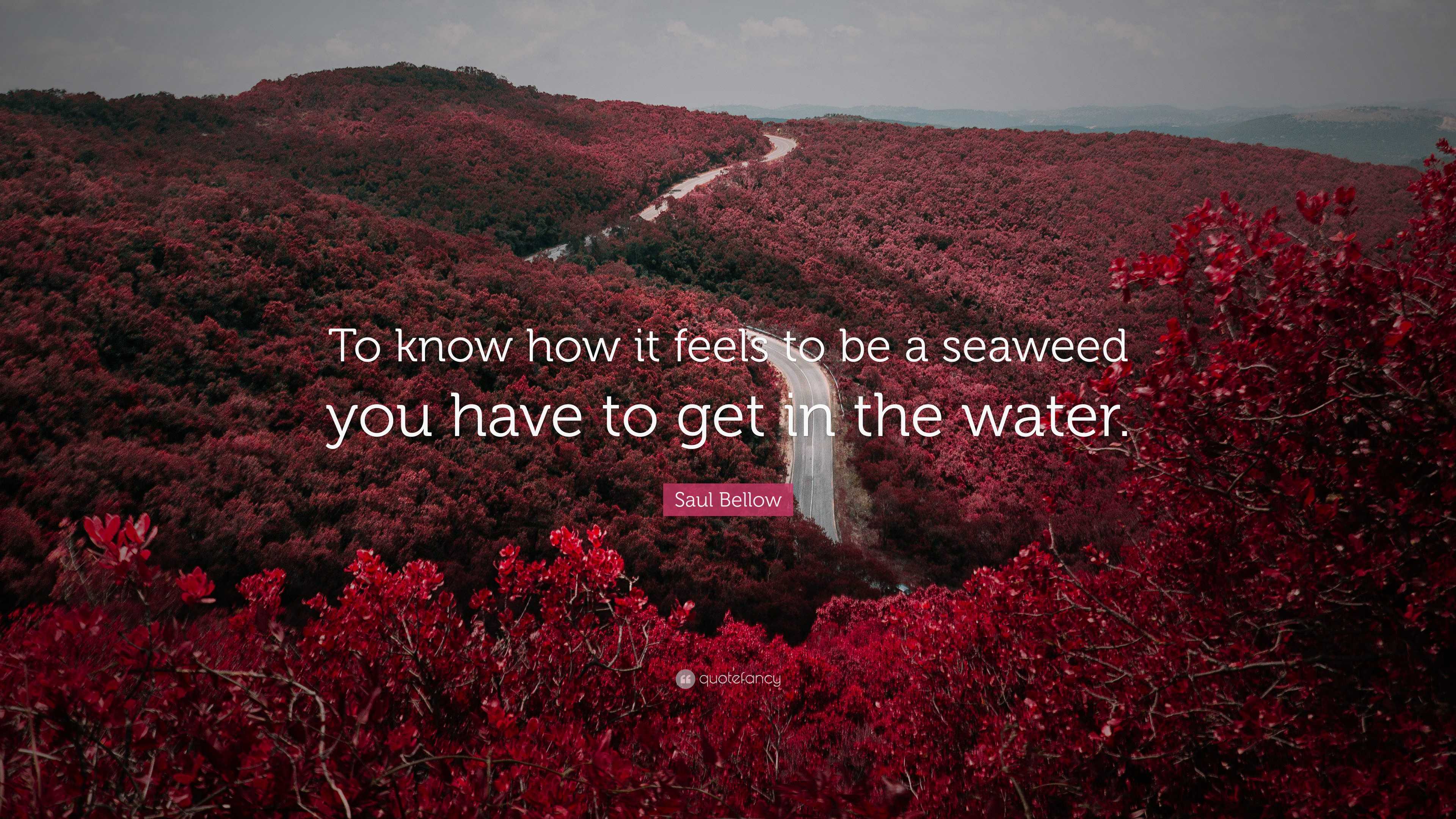 Saul Bellow Quote: “To know how it feels to be a seaweed you have to ...