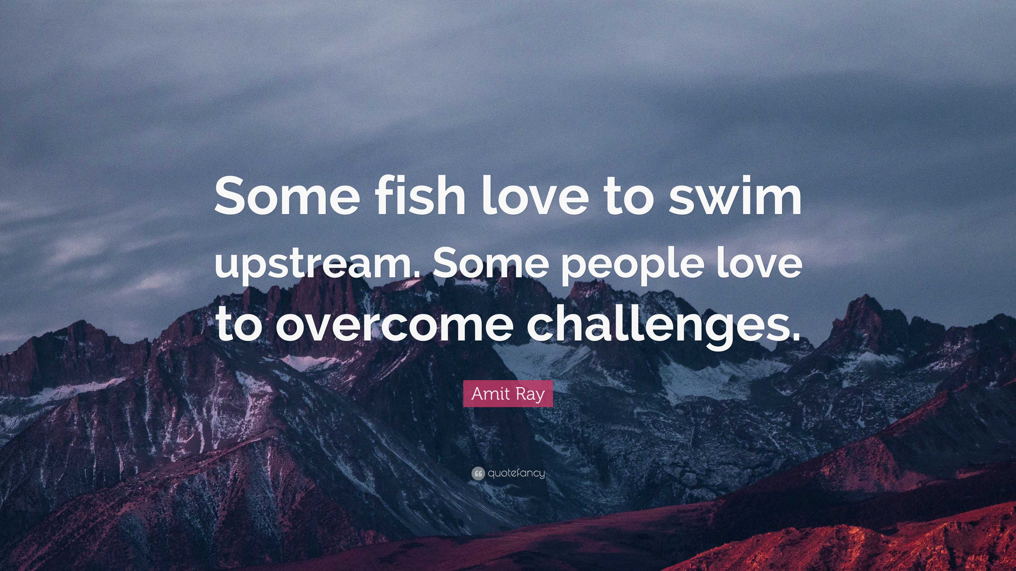 Amit Ray Quote: “Some fish love to swim upstream. Some people love to ...