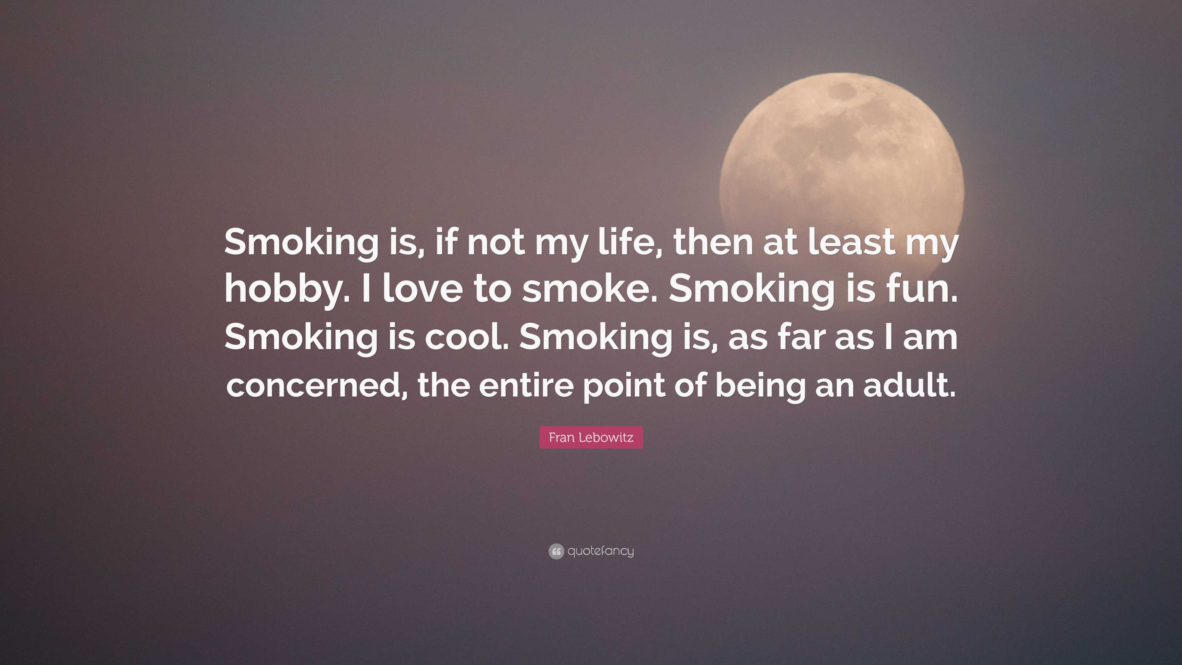 Humorous Smoking Quotes Funny Cartoon Cat Sitting And Smoking Pipe