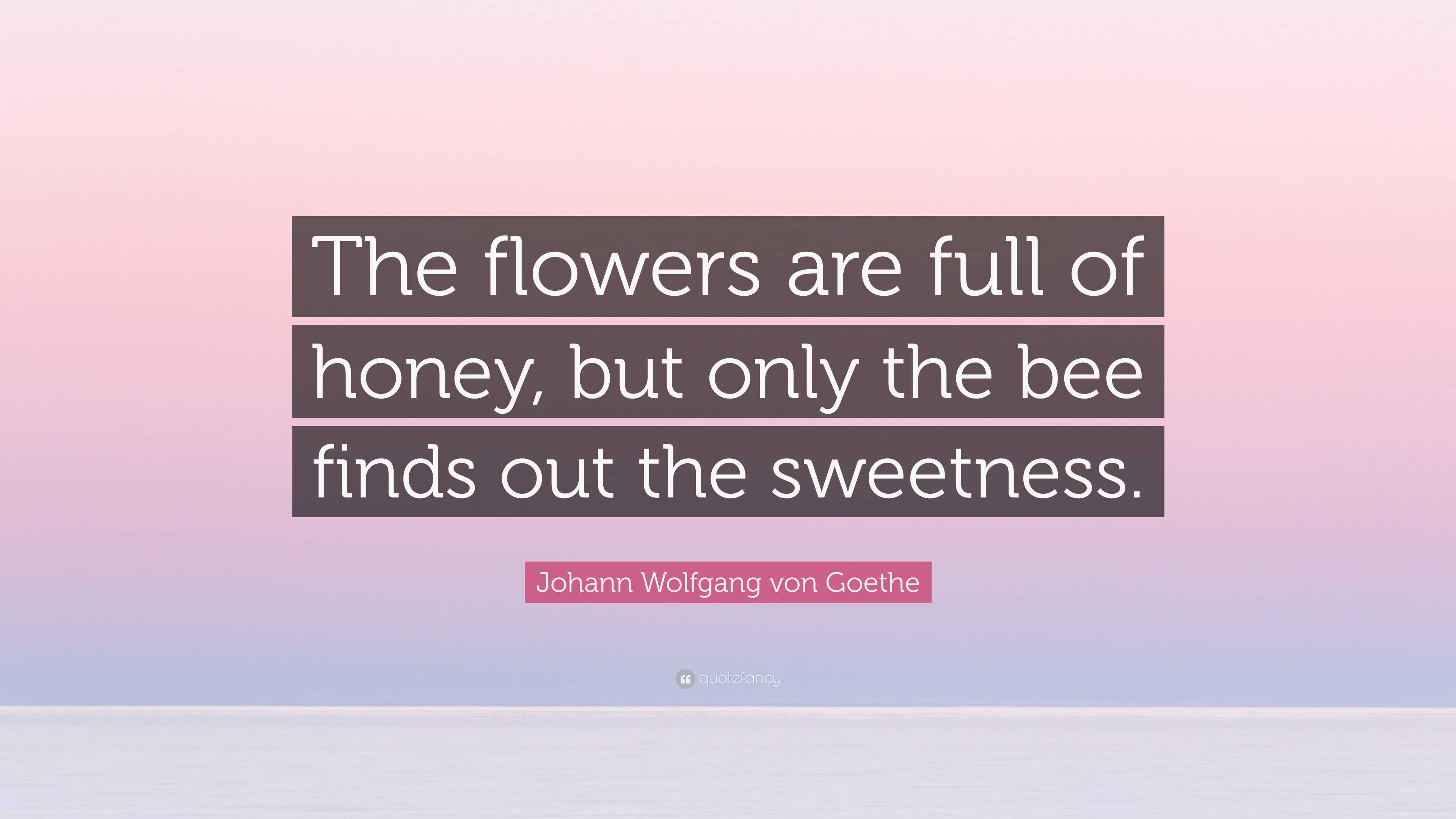 Johann Wolfgang von Goethe Quote: “The flowers are full of honey, but ...