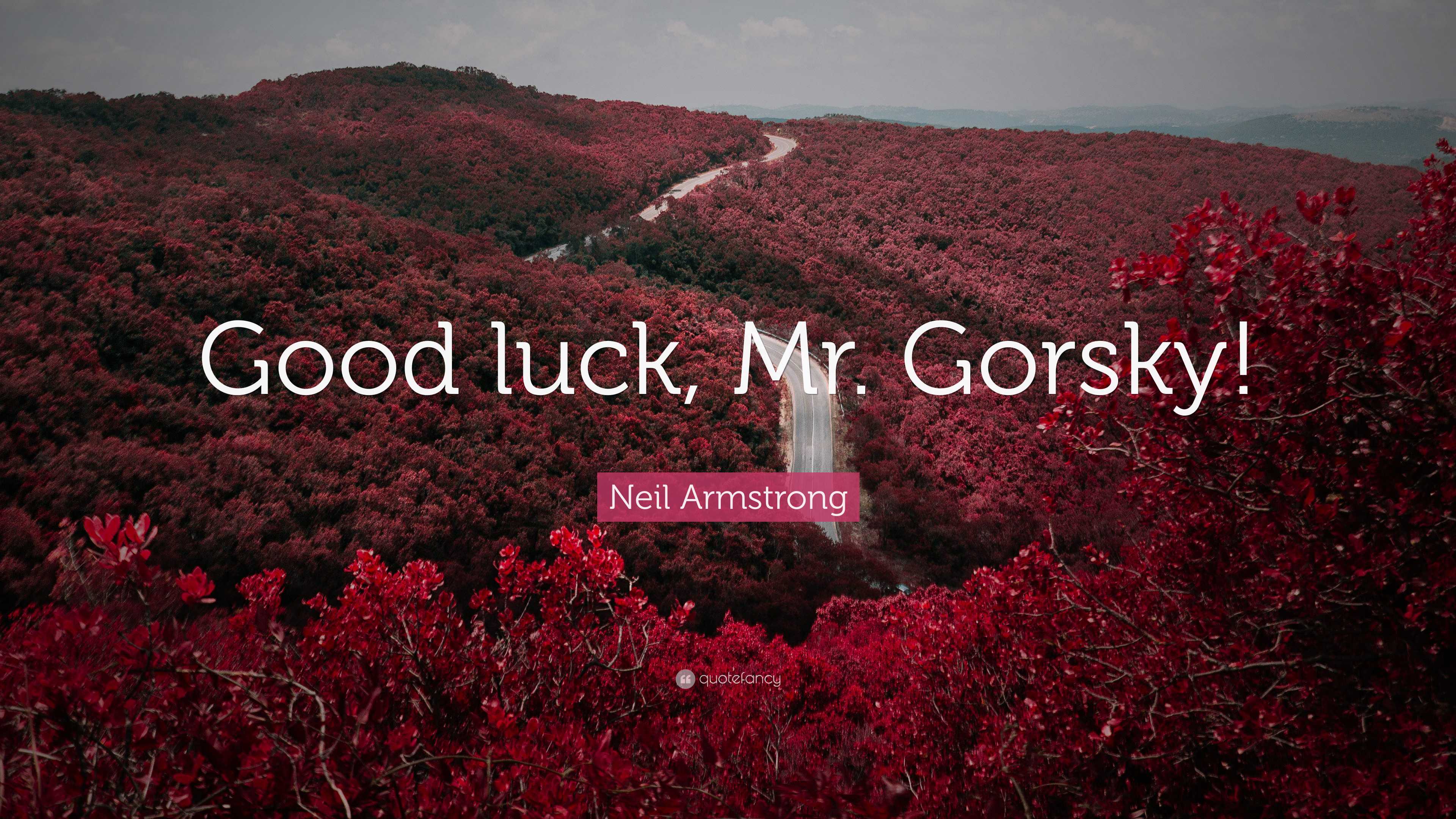 Neil Armstrong Quote: “Good luck, Mr. Gorsky!”