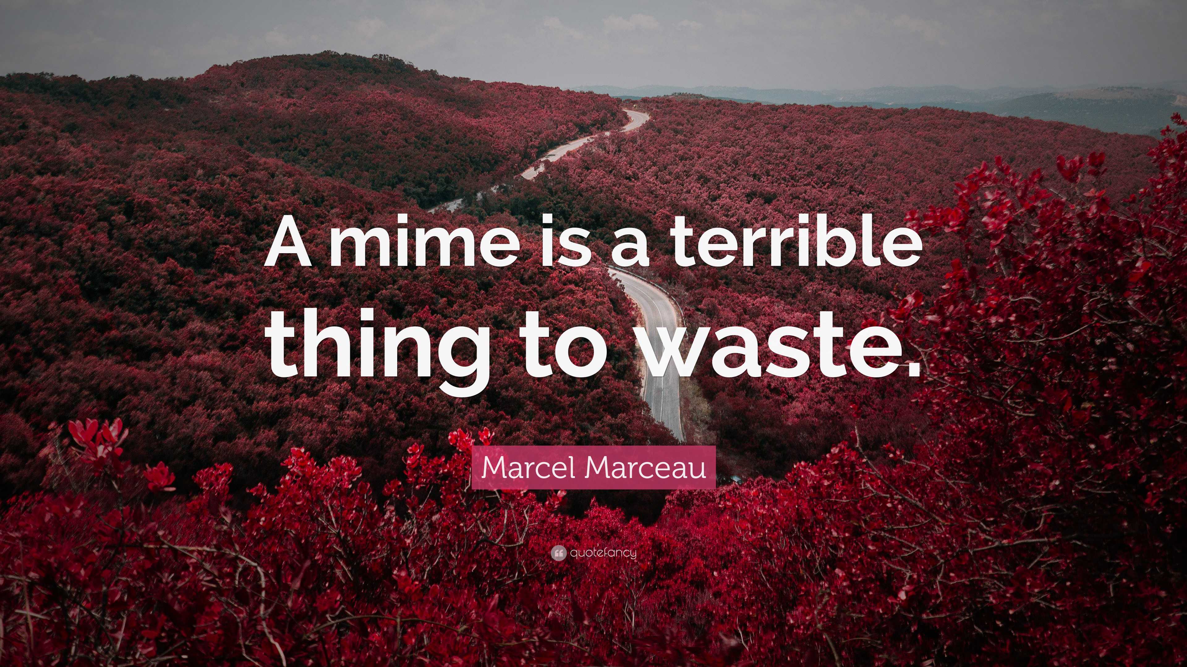 Marcel Marceau Quote: “A mime is a terrible thing to waste.”