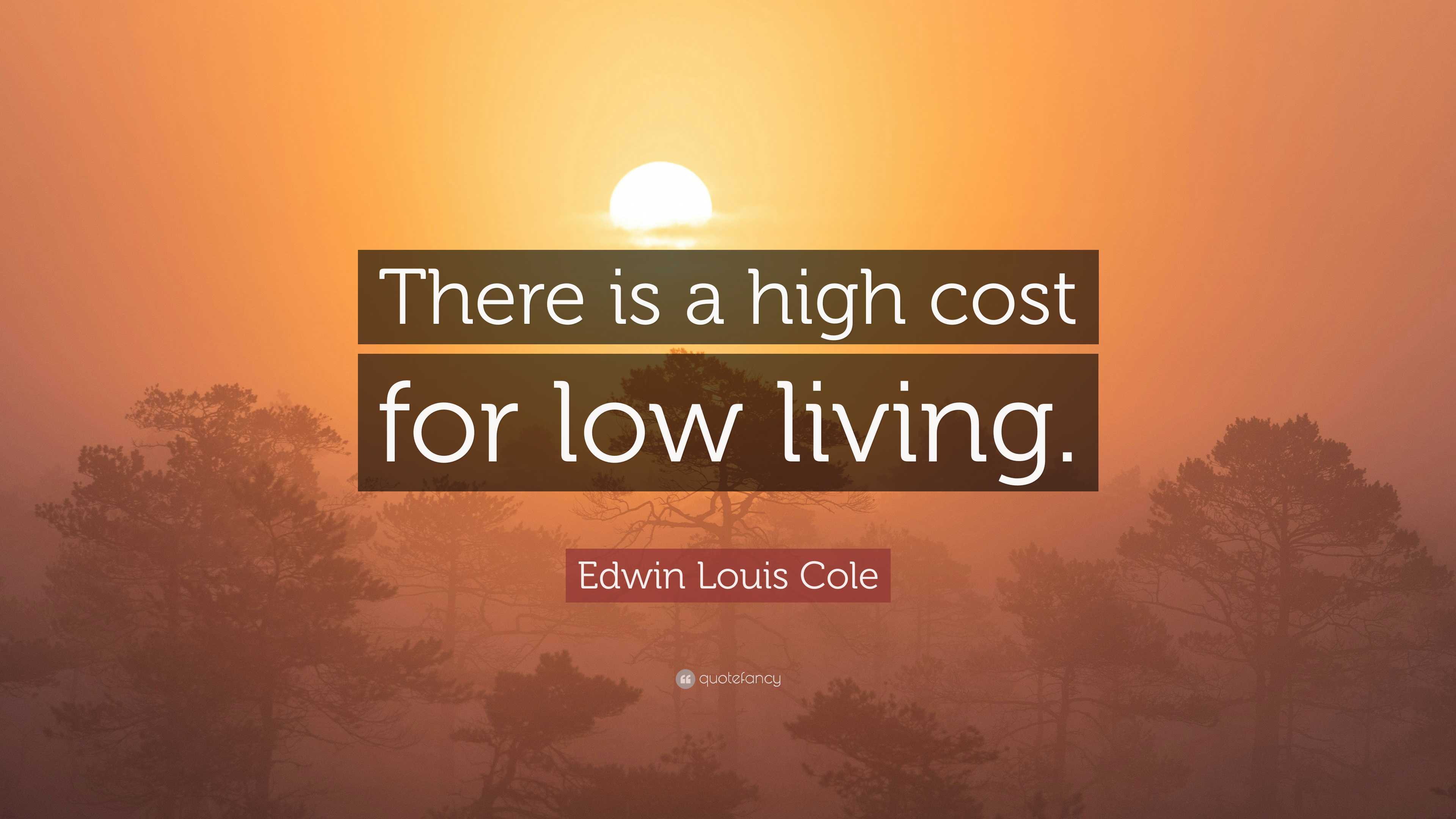 Edwin Louis Cole Quote: “There is a high cost for low living.”