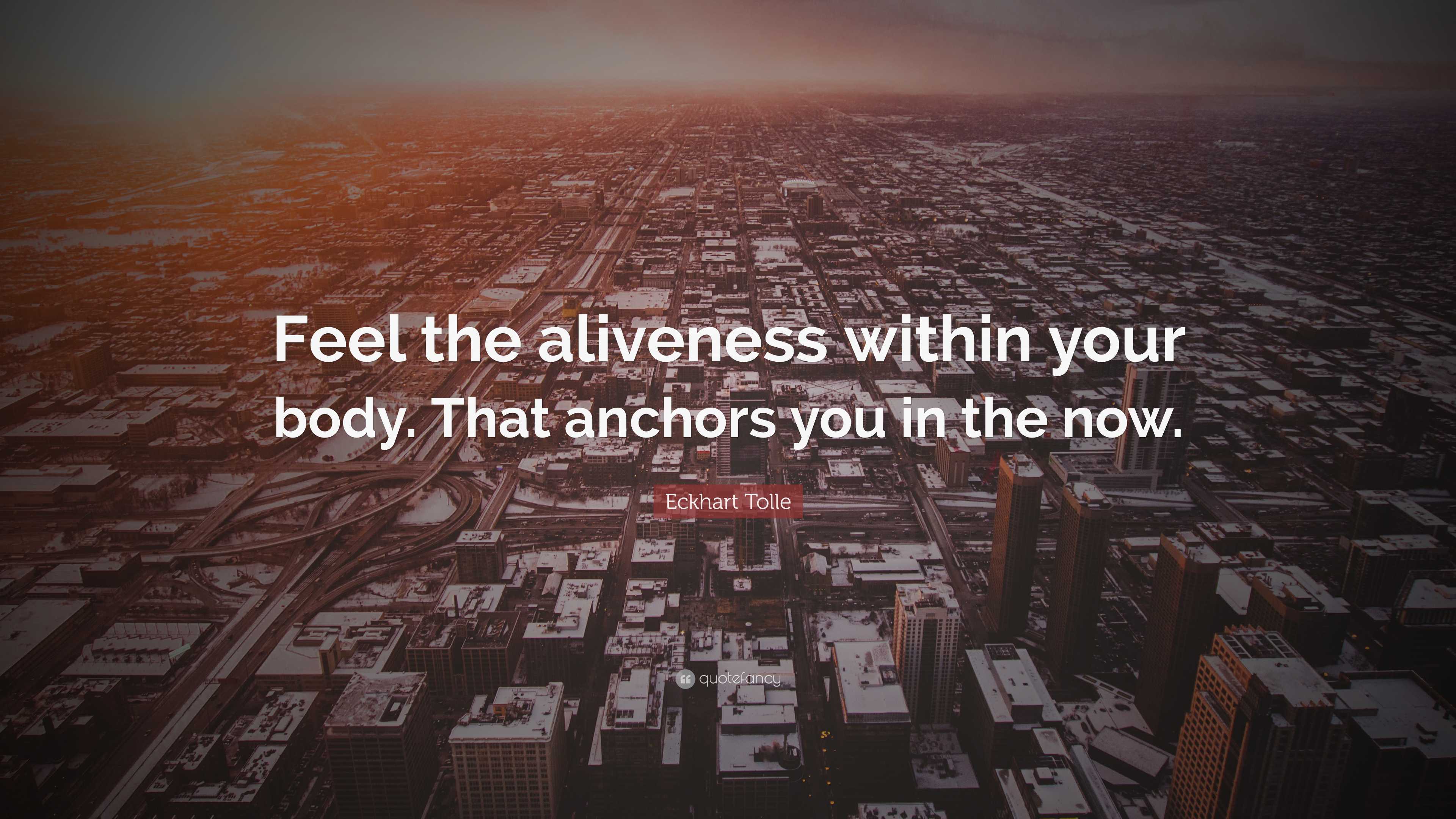 Eckhart Tolle Quote: “Feel the aliveness within your body. That anchors ...