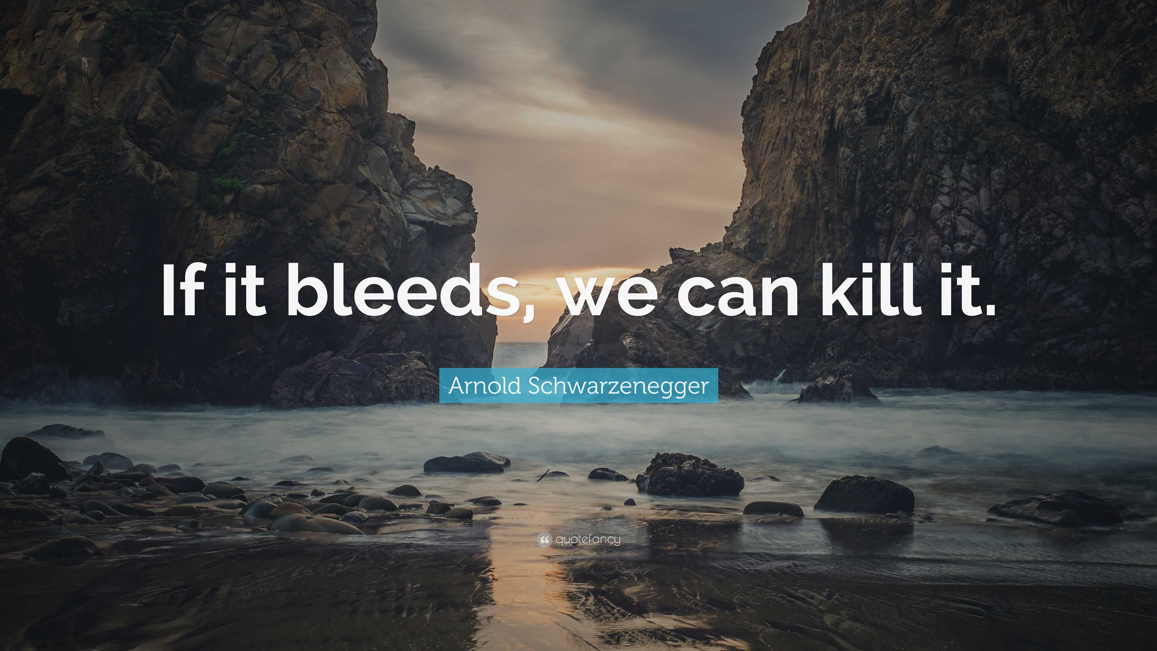 Arnold Schwarzenegger Quote: “If it bleeds, we can kill it.”