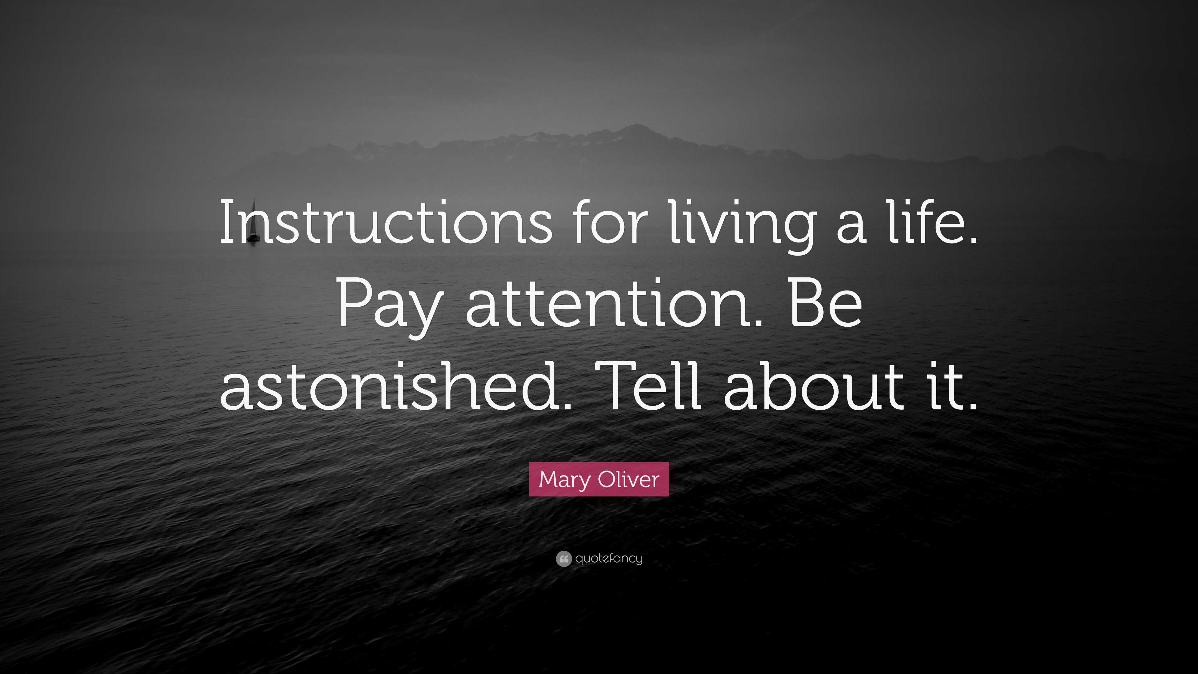 Mary Oliver Quote: “Instructions for living a life. Pay attention. Be ...