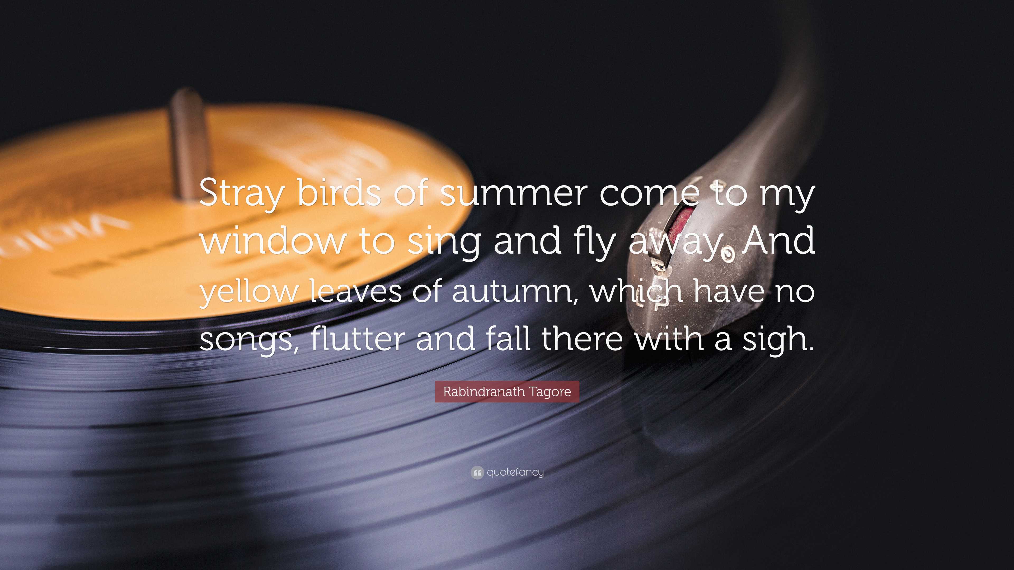 Rabindranath Tagore Quote: “Stray birds of summer come to my window to ...
