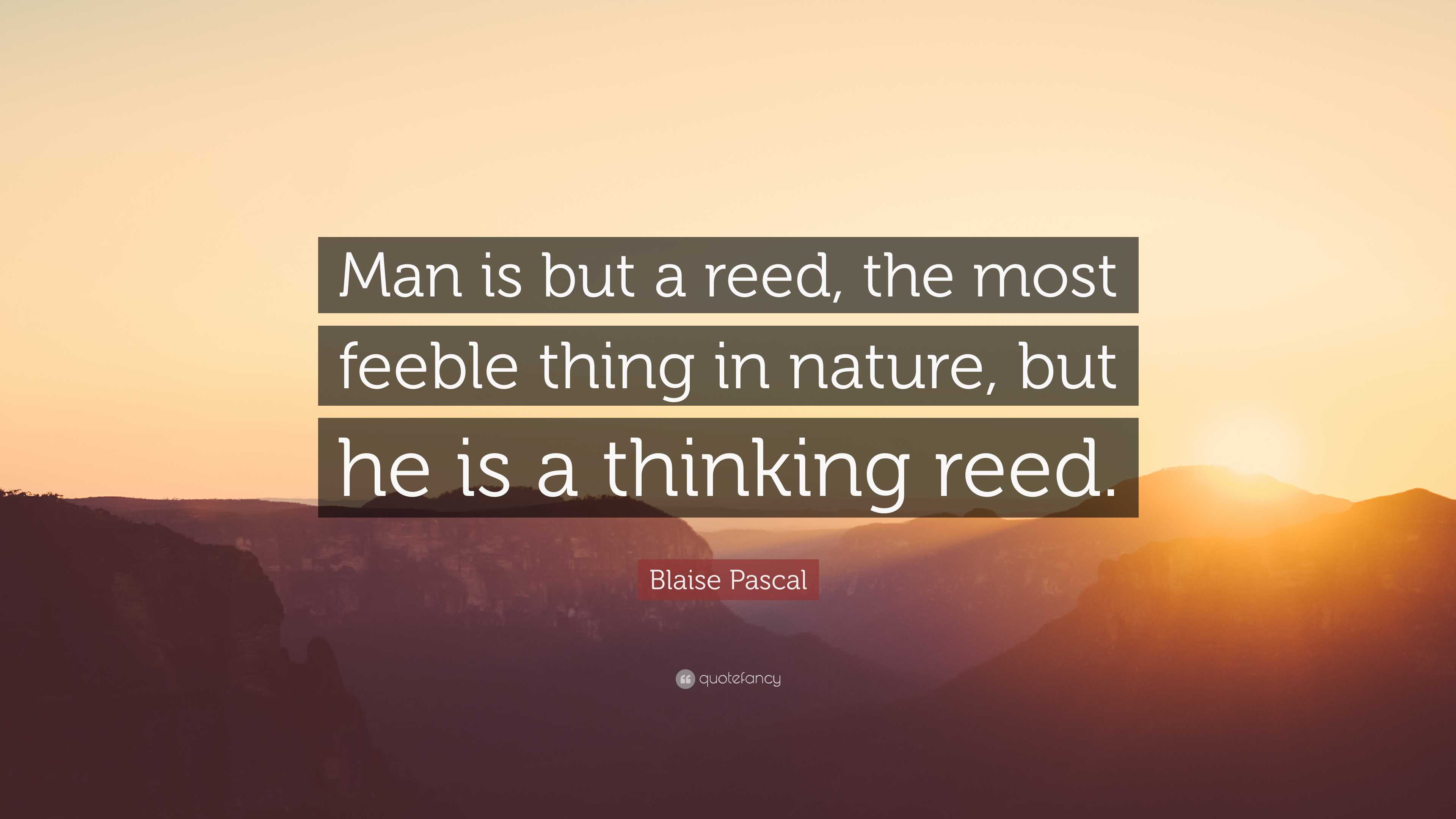 Blaise Pascal Quote: “Man is but a reed, the most feeble thing in ...