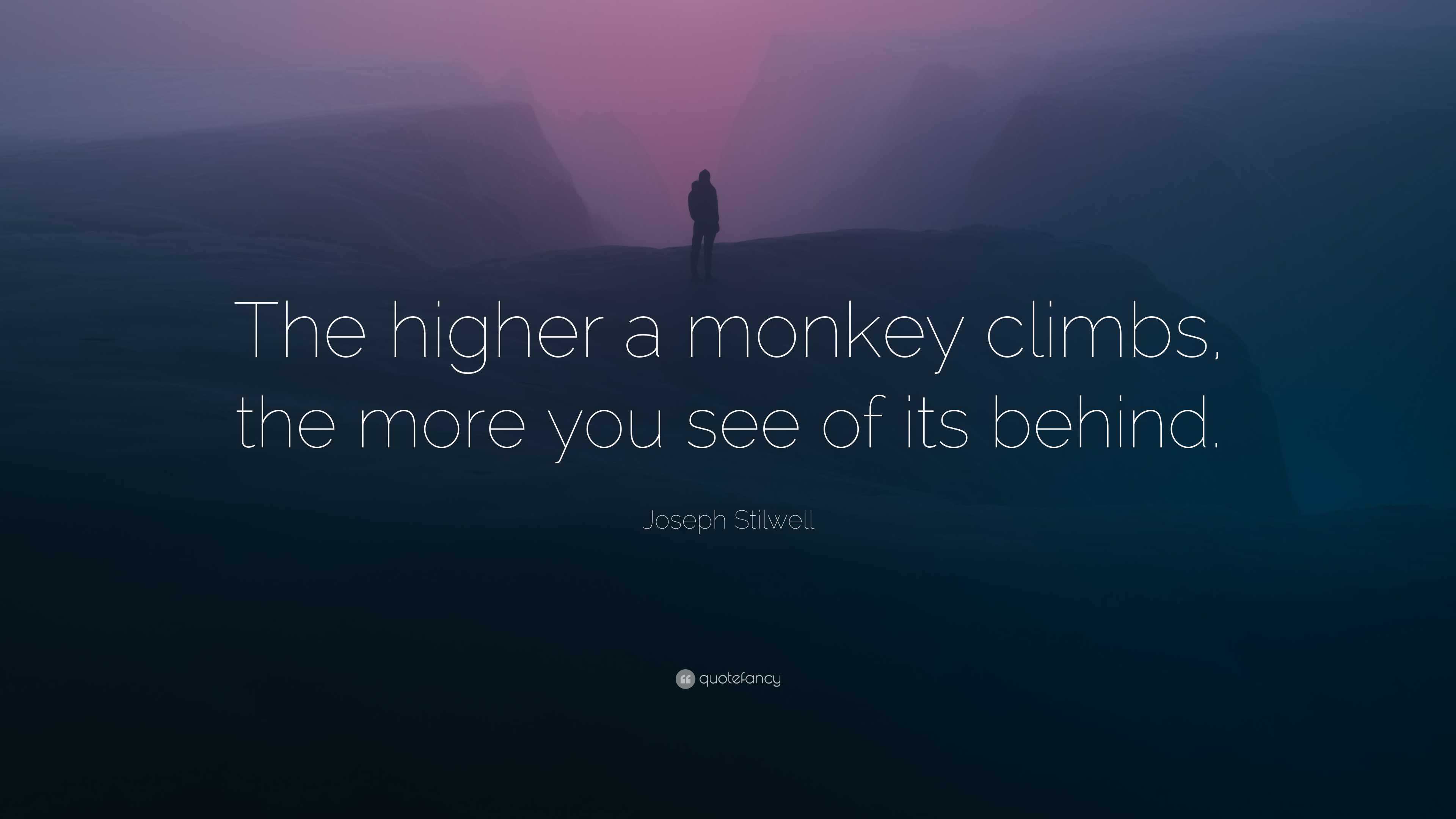 Joseph Stilwell Quote: “The higher a monkey climbs, the more you see of ...