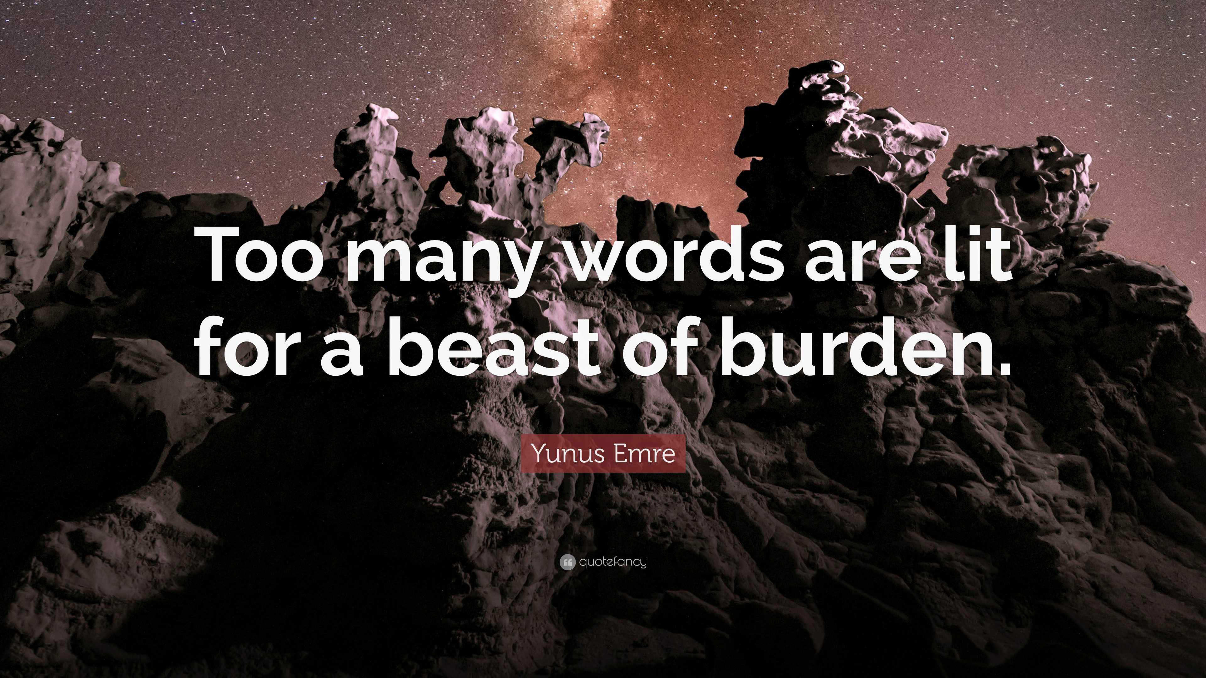 Yunus Emre Quote: “Too many words are lit for a beast of burden.”