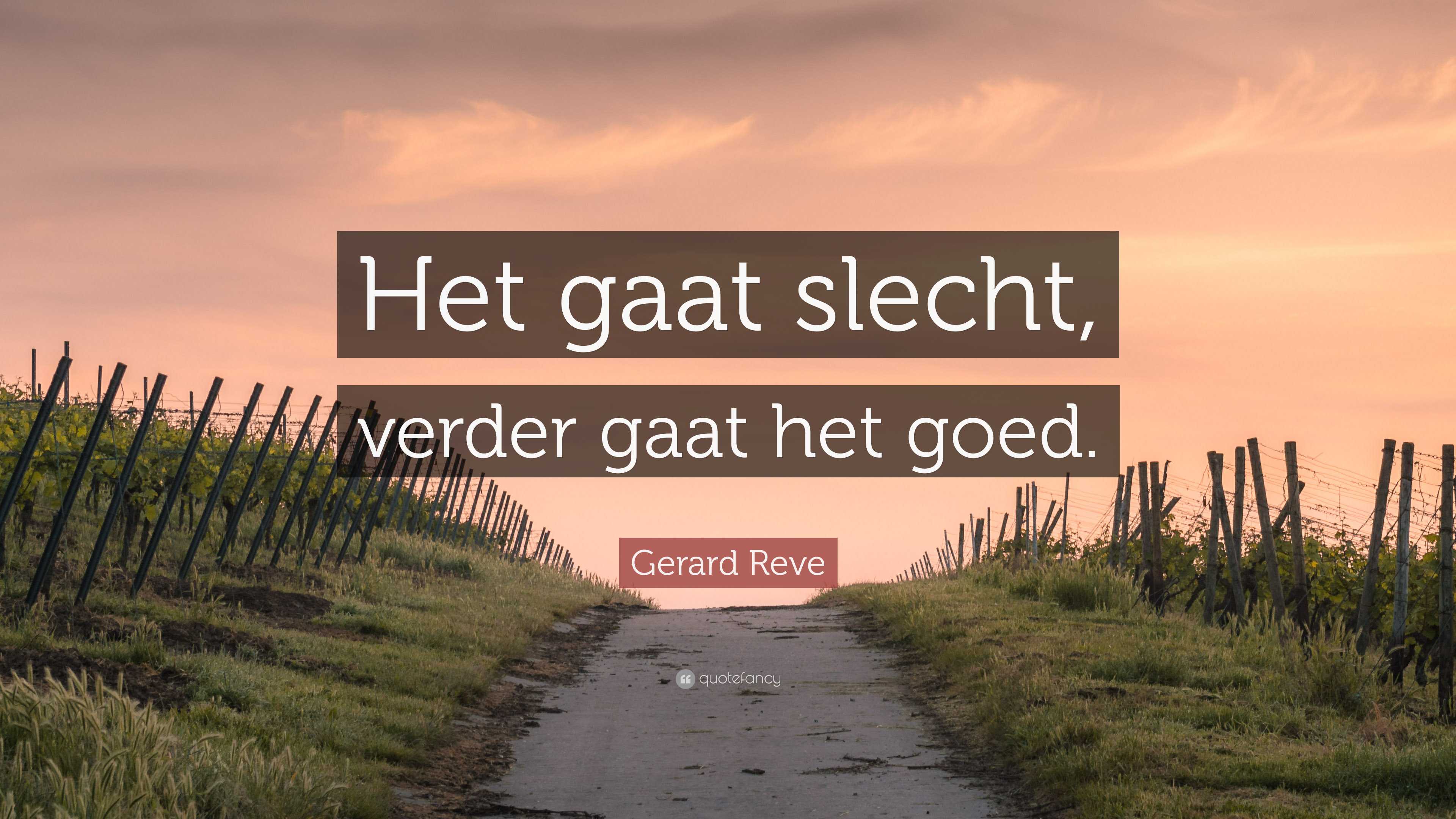 Gerard Reve Quote: “Het gaat slecht, verder gaat het goed.”