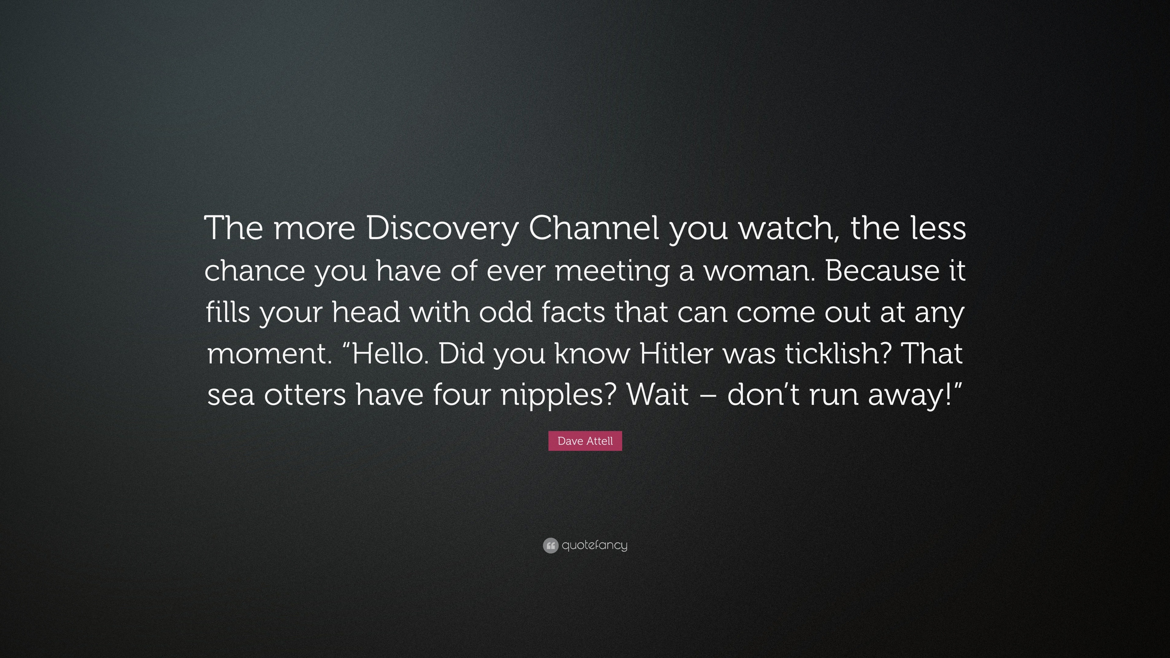 Dave Attell Quote: “The more Discovery Channel you watch, the less ...