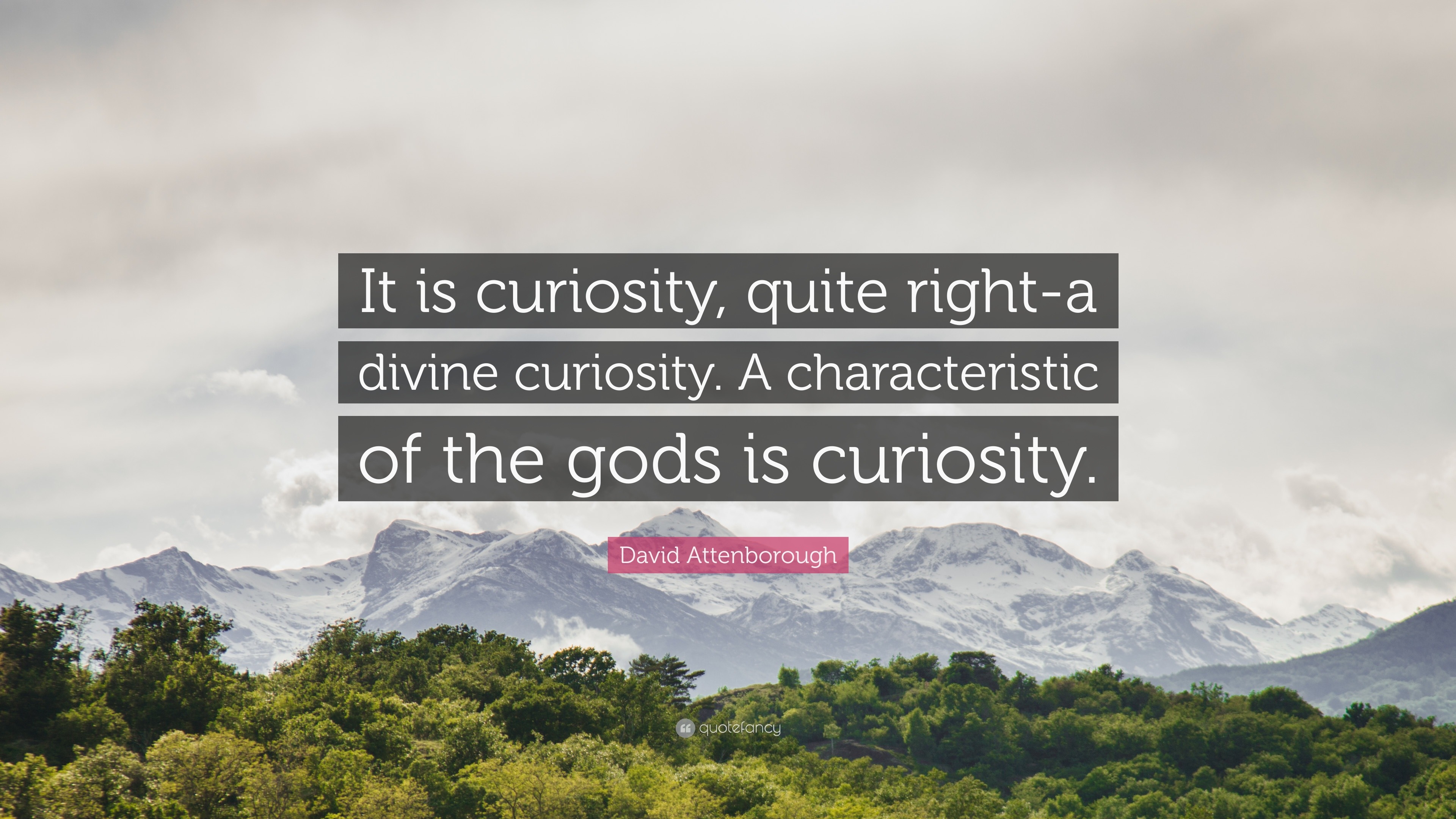 David Attenborough Quote: “It is curiosity, quite right-a divine ...