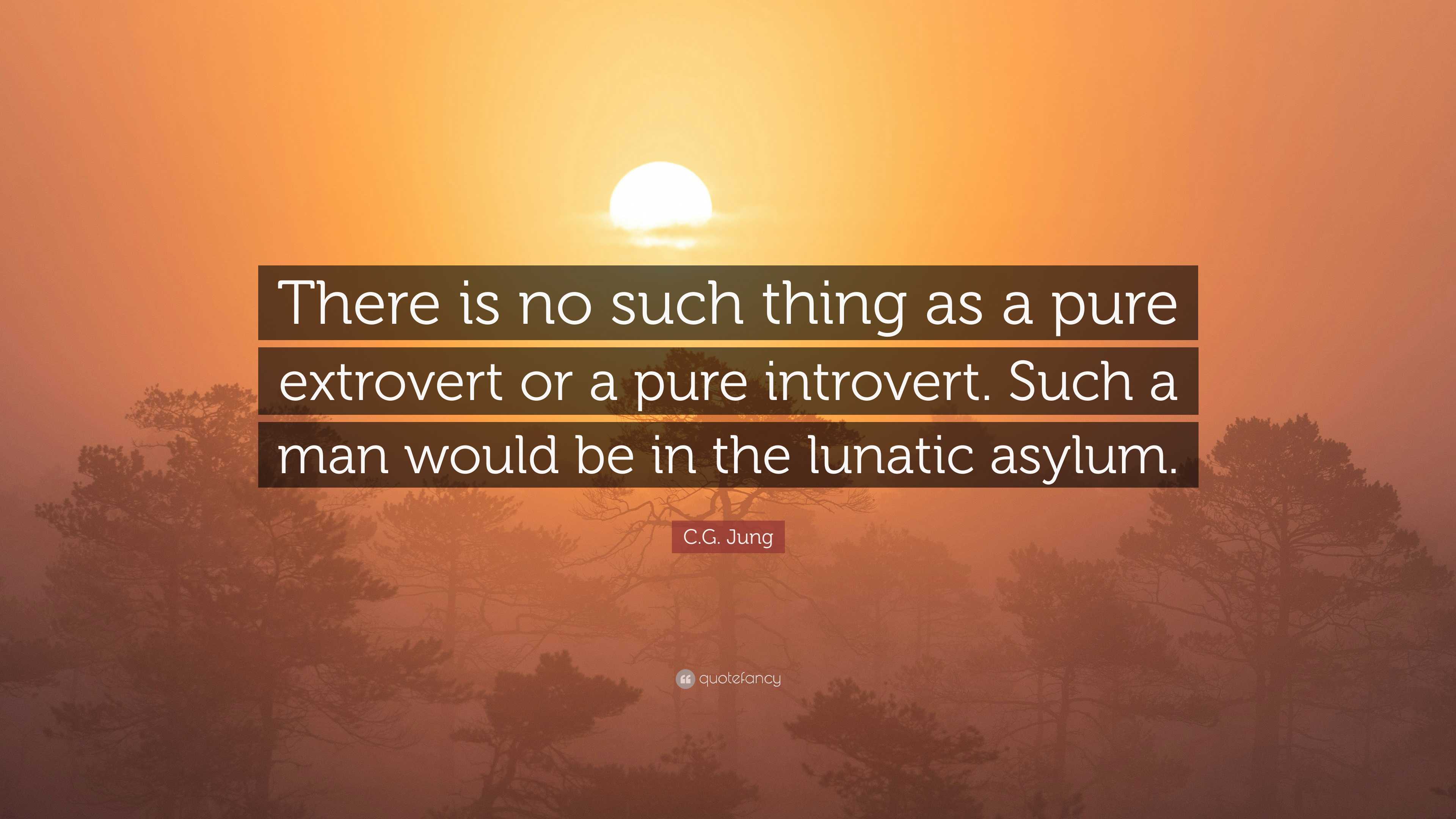 C.G. Jung Quote: “There is no such thing as a pure extrovert or a pure ...