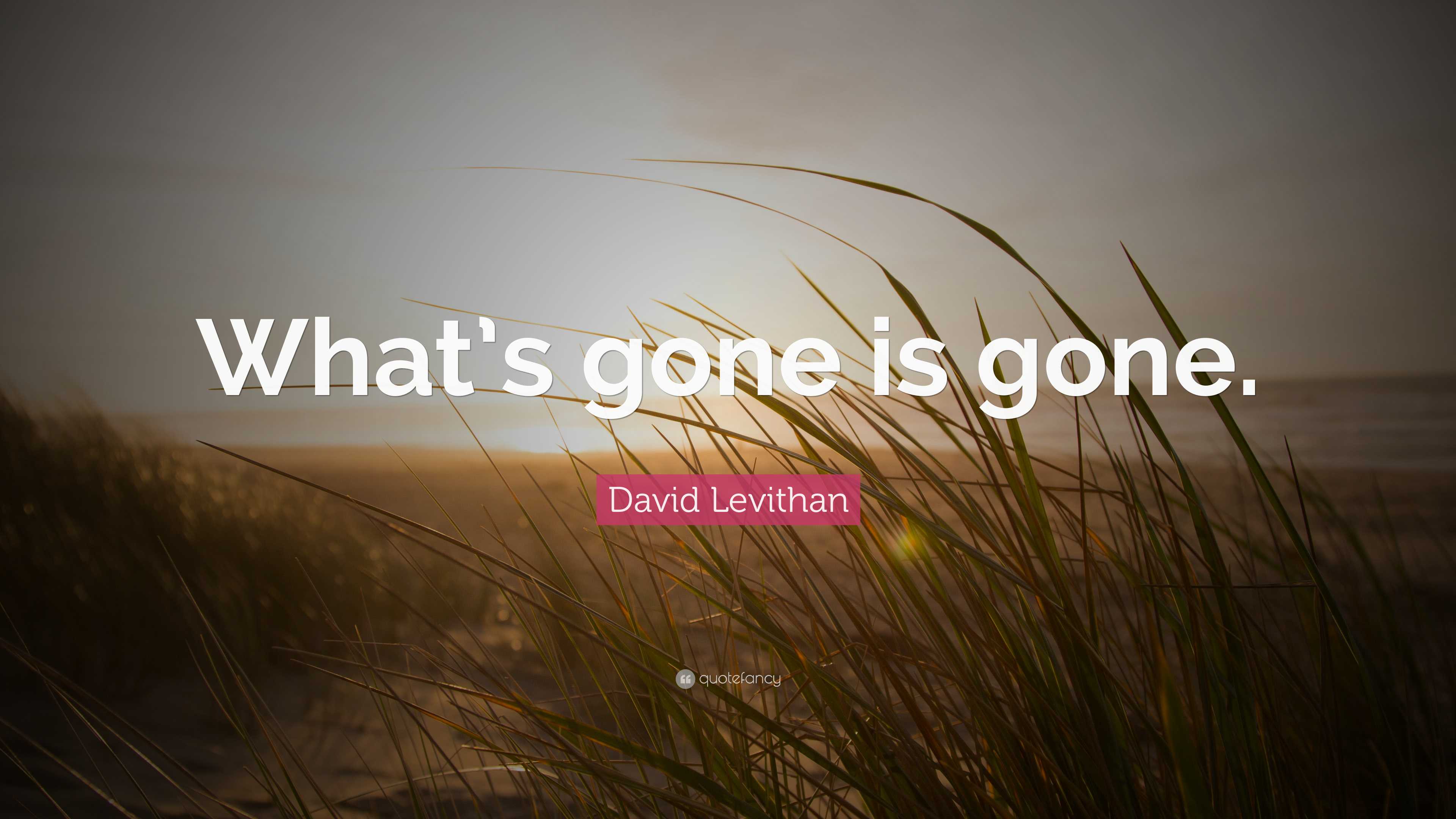 David Levithan Quote: “What’s gone is gone.”