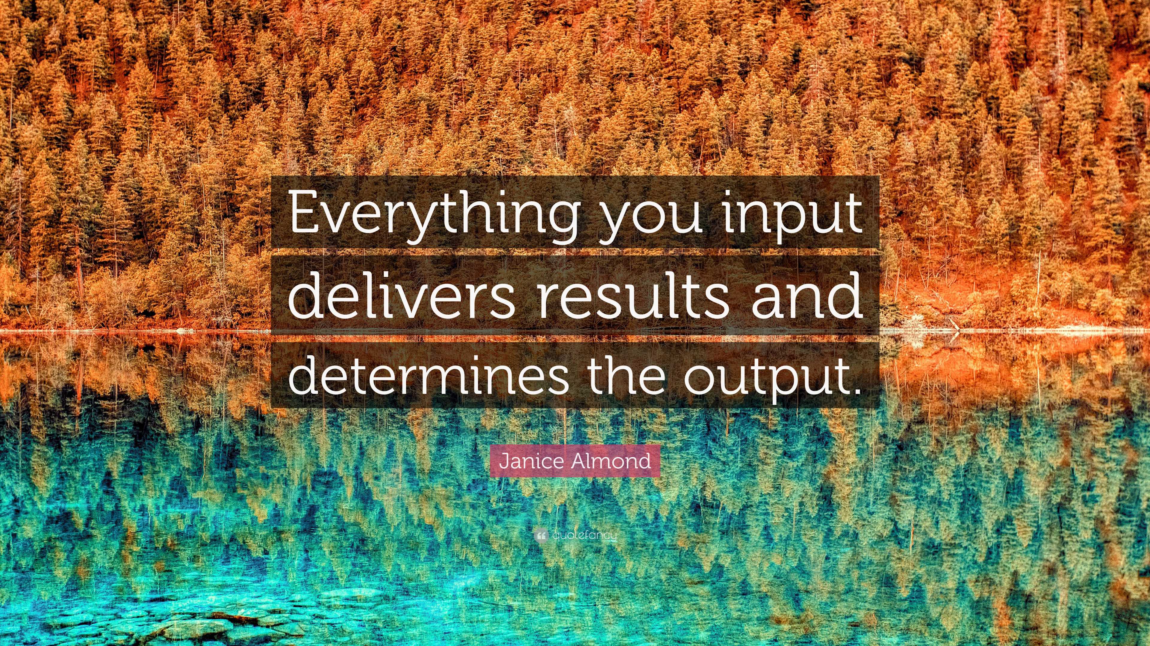 Janice Almond Quote: “Everything you input delivers results and ...