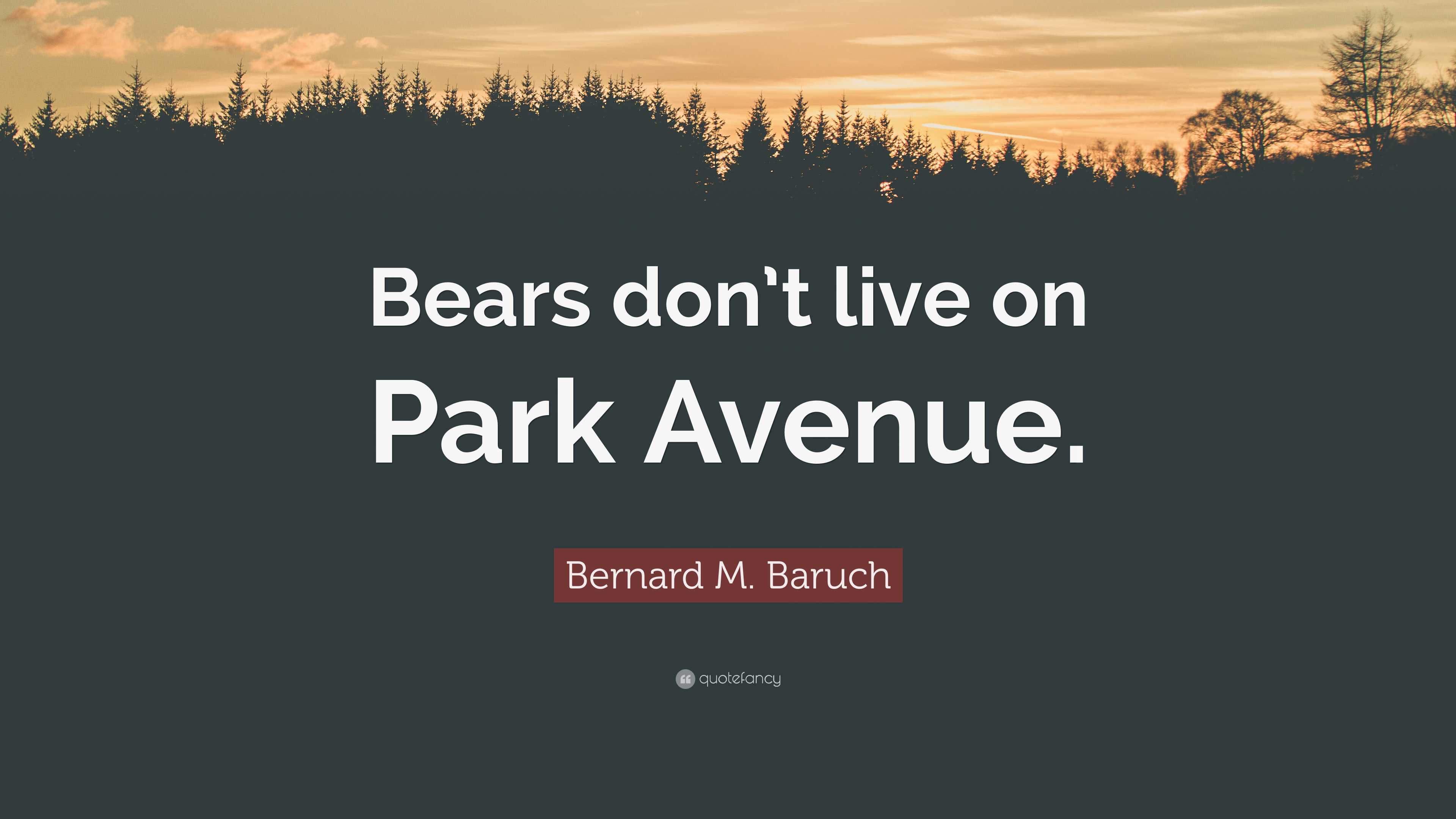 Don Baer Quotes Don't Poke The Bear And Expect It To Lie Still