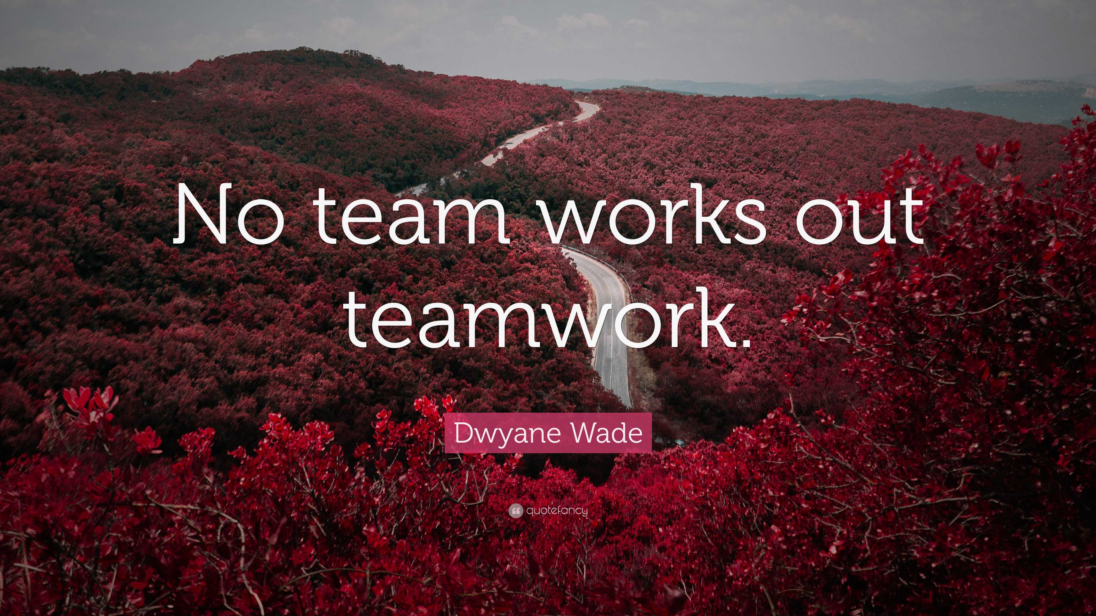 Dwyane Wade Quote: “No team works out teamwork.”