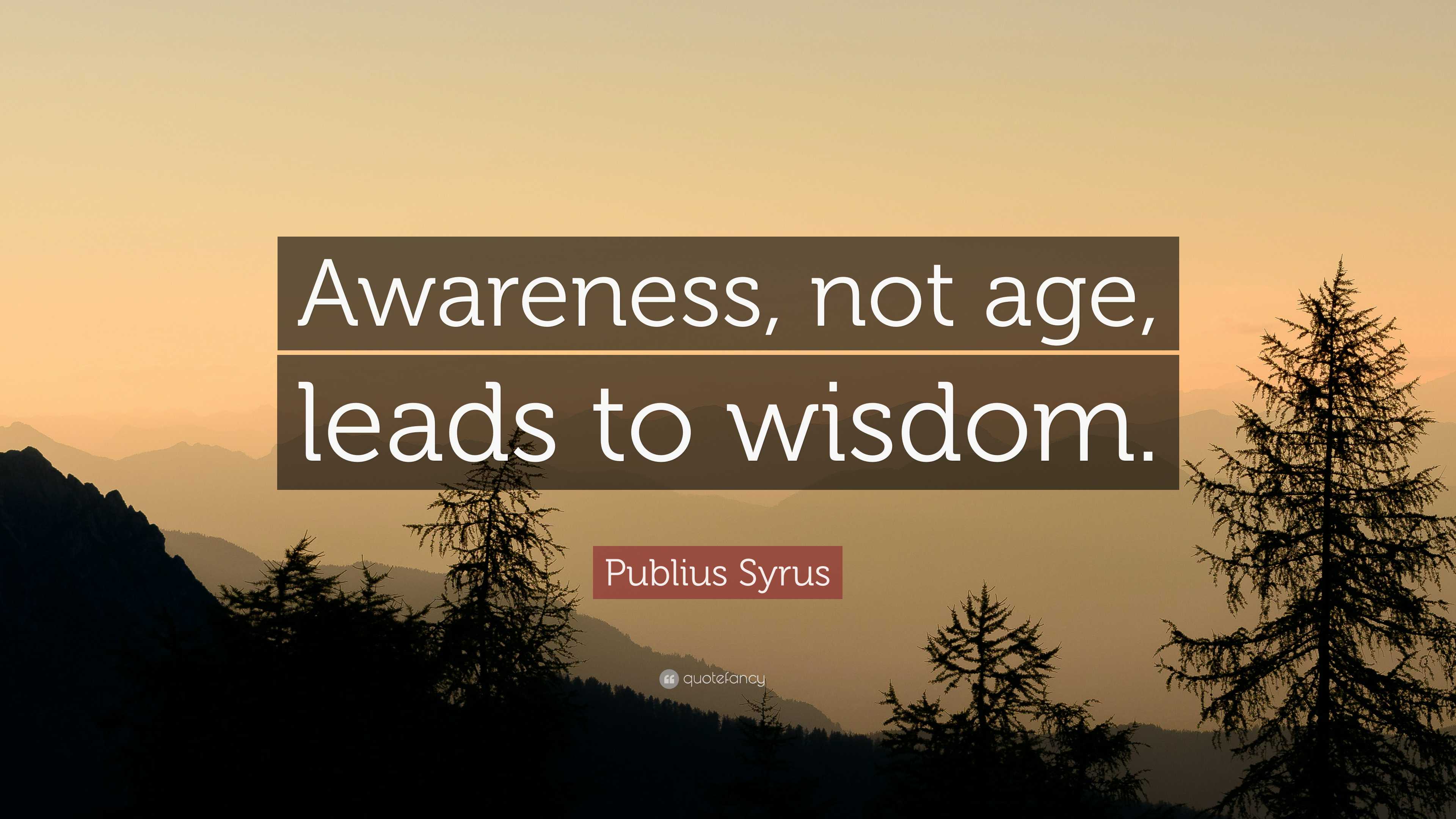 Publius Syrus Quote: “Awareness, not age, leads to wisdom.”