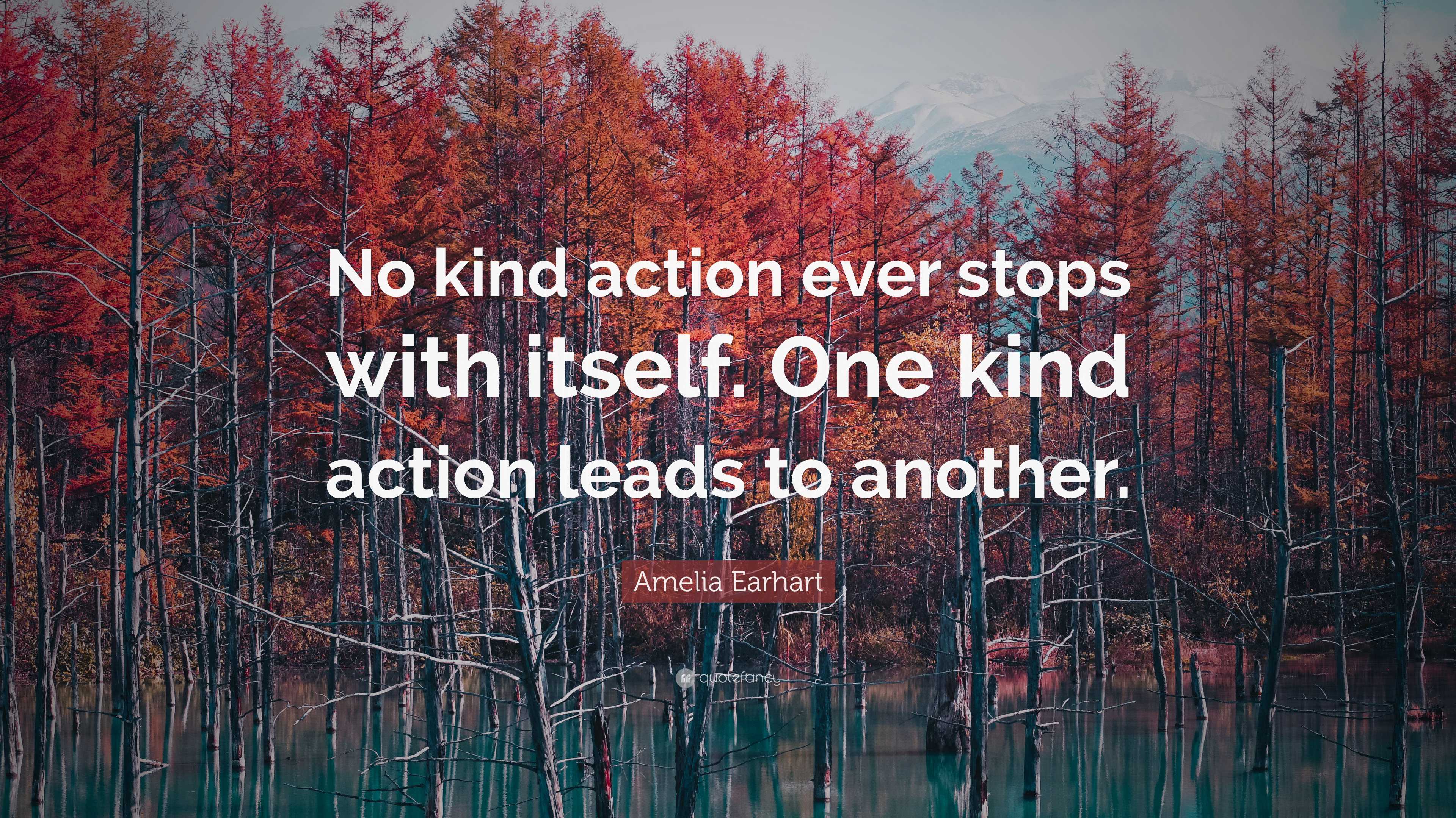 Amelia Earhart Quote: “No kind action ever stops with itself. One kind ...