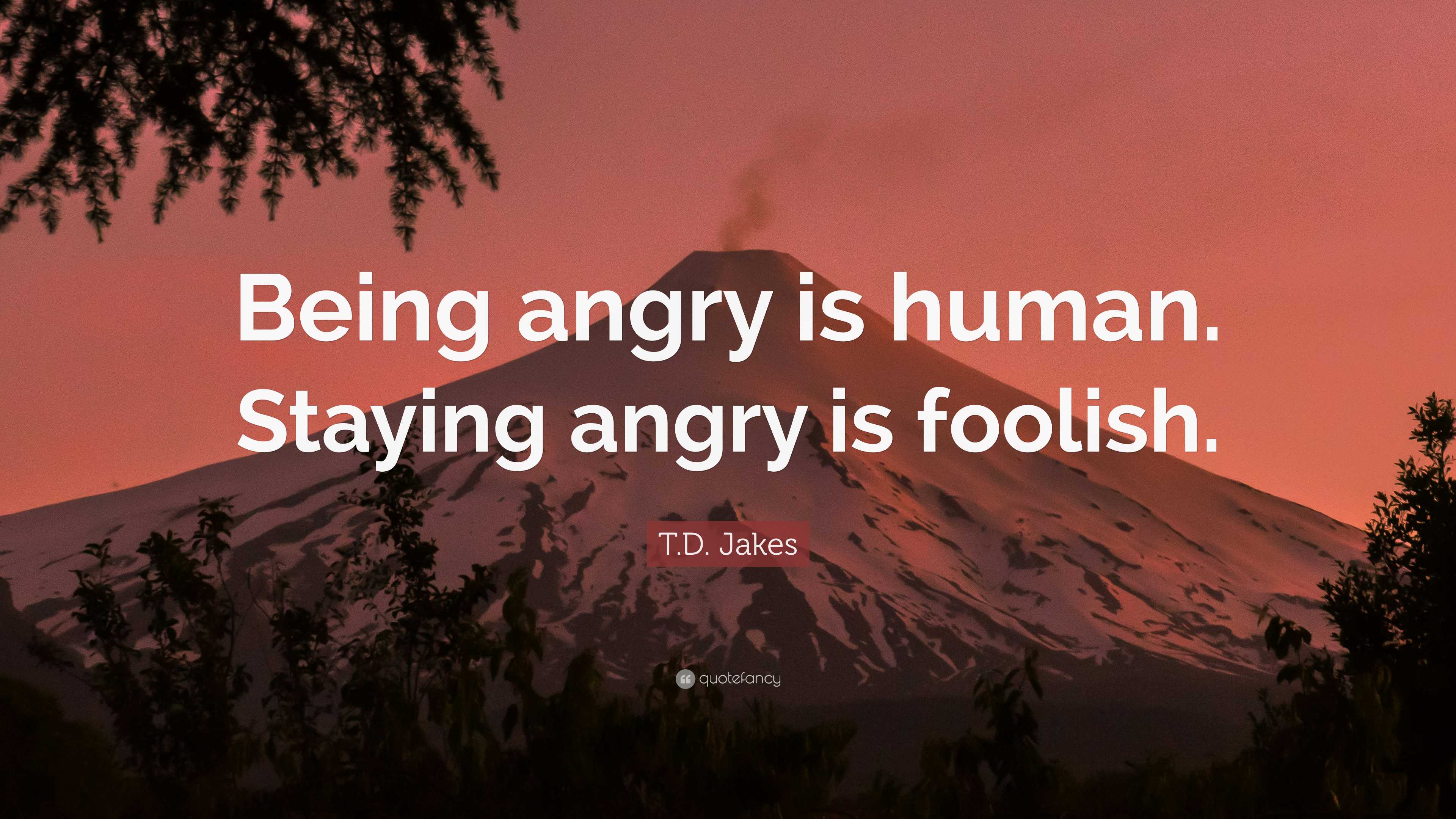 T.D. Jakes Quote: “Being angry is human. Staying angry is foolish.”