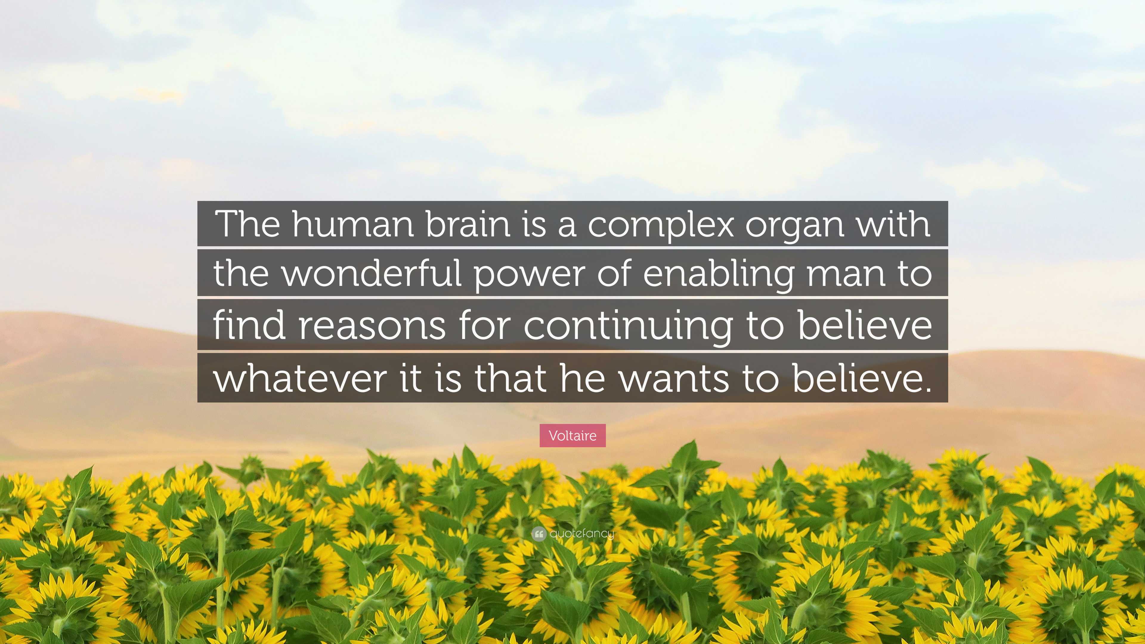 Voltaire Quote: “The human brain is a complex organ with the wonderful ...