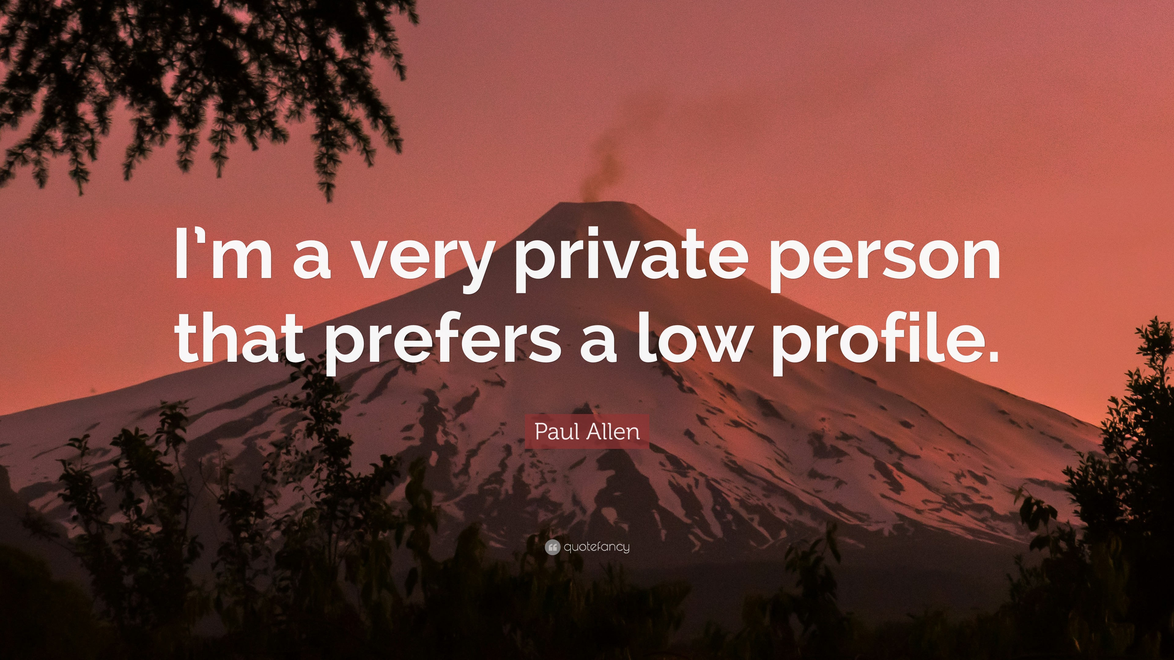 Paul Allen Quote: “I’m a very private person that prefers a low profile.”