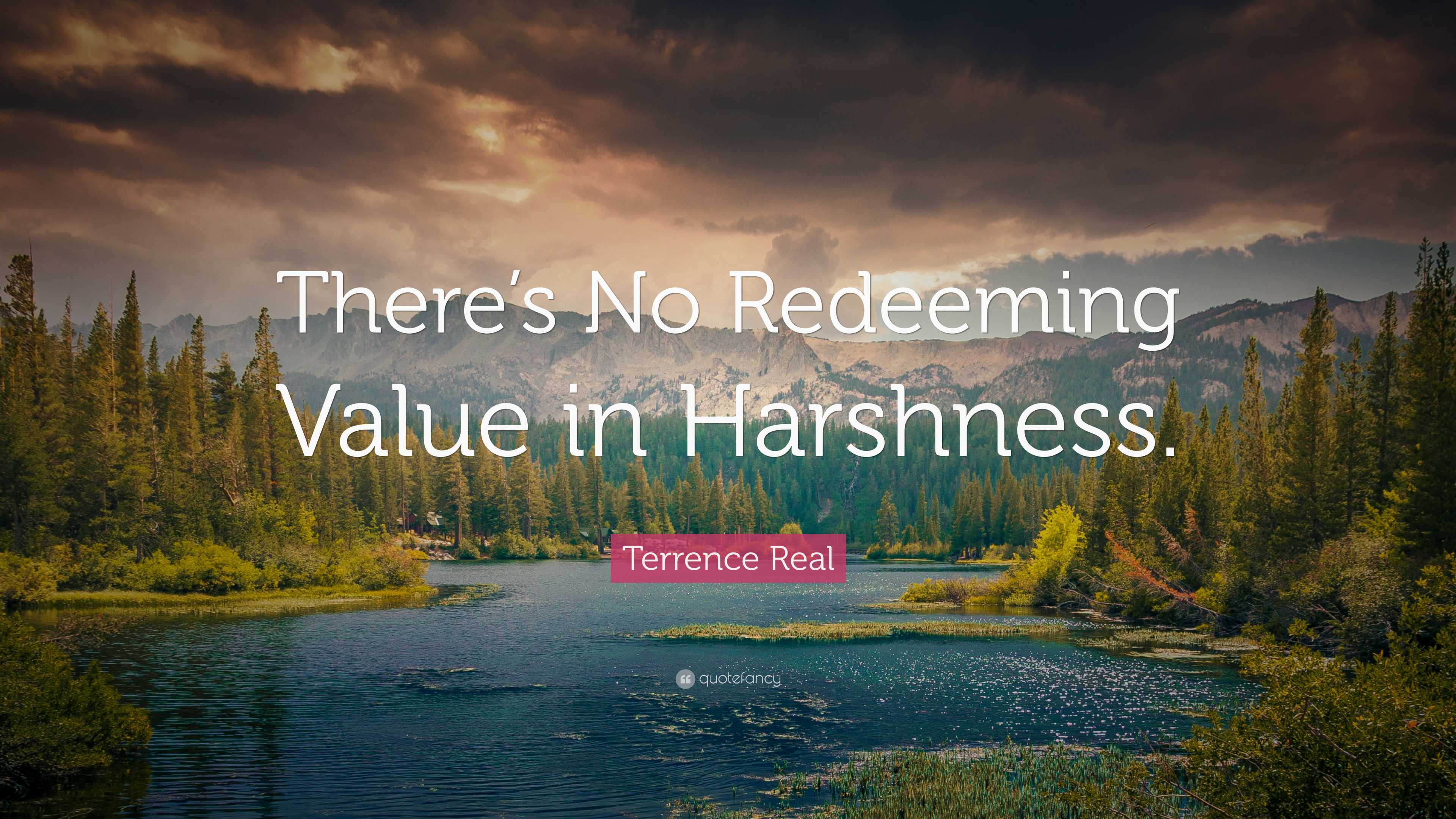 Terrence Real Quote: “There’s No Redeeming Value in Harshness.”