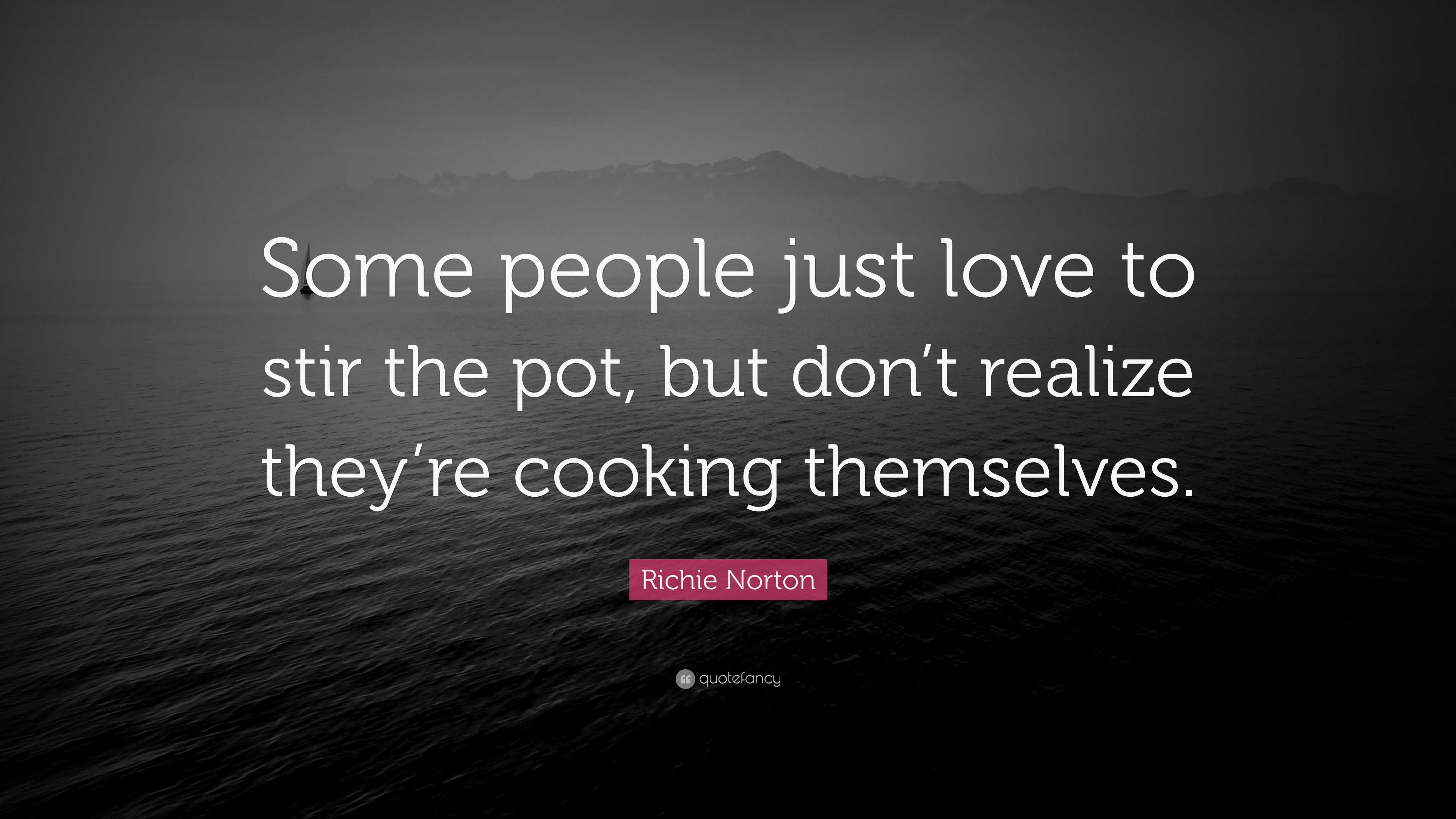 Richie Norton Quote: “Some people just love to stir the pot, but don’t ...