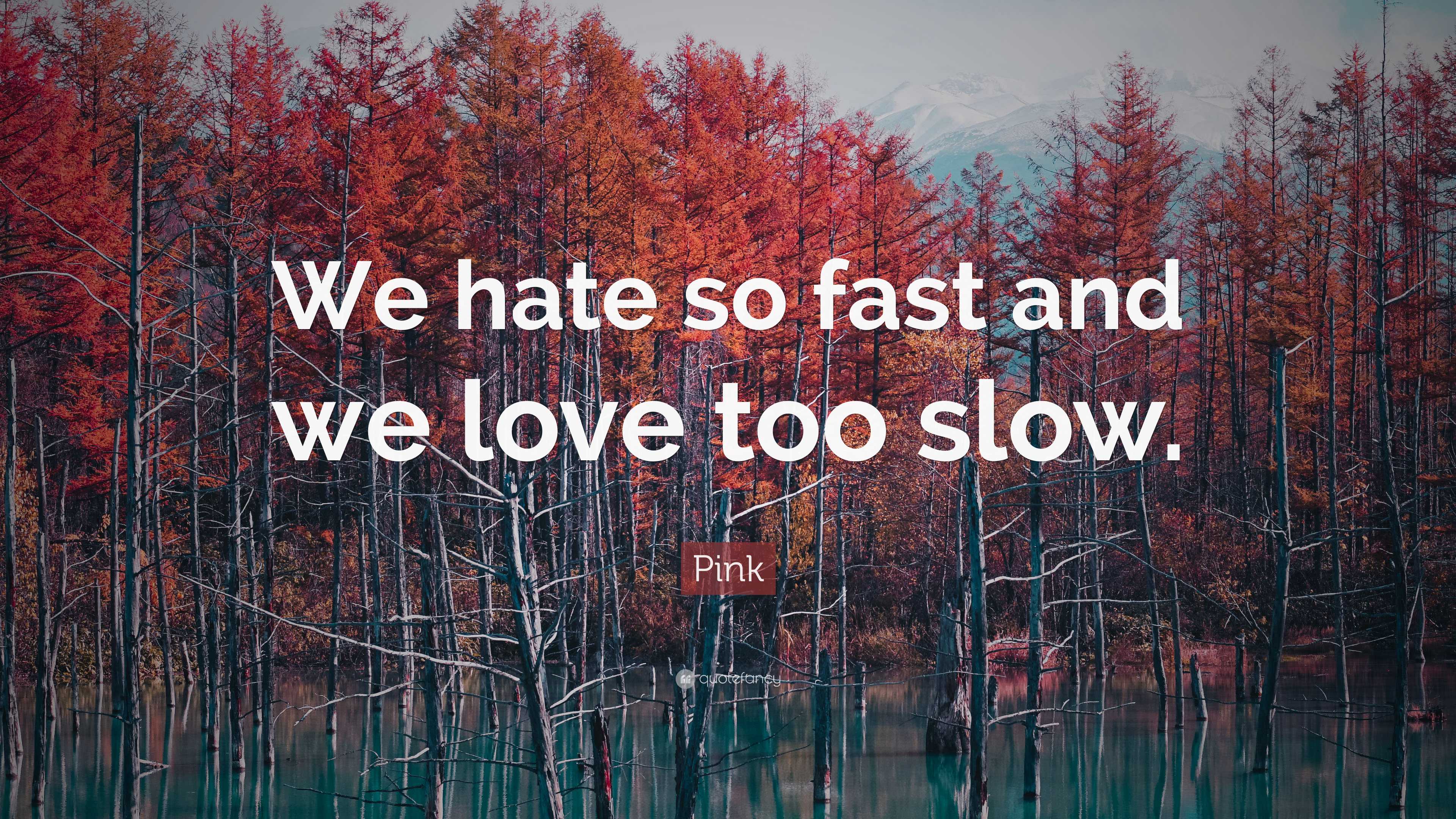 Pink Quote: “We hate so fast and we love too slow.”