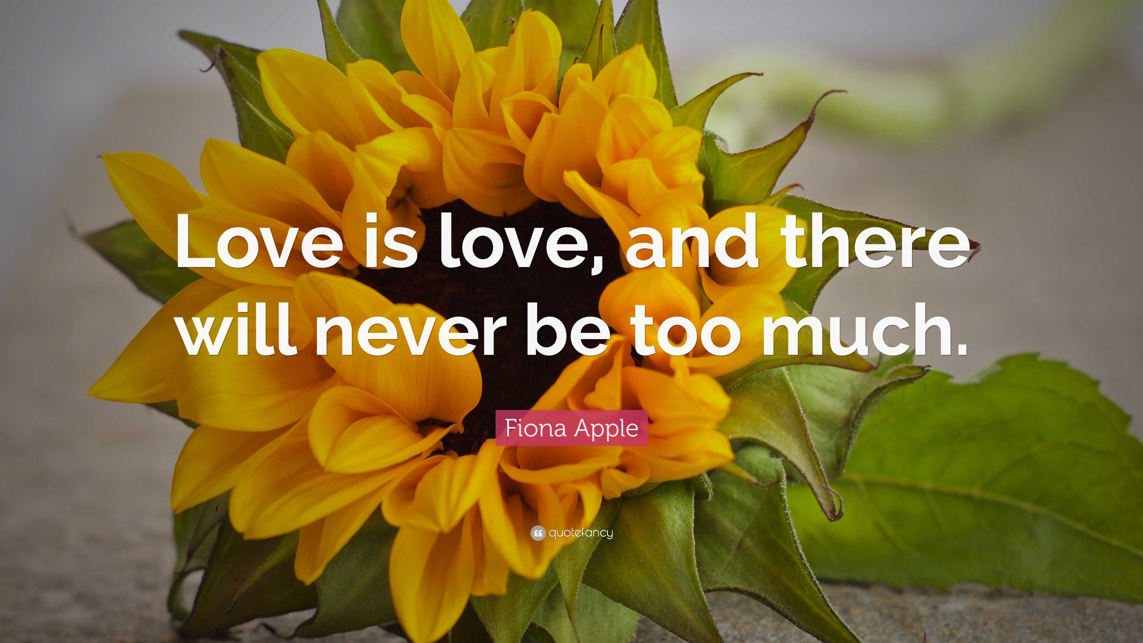 Fiona Apple Quote: “Love is love, and there will never be too much.”