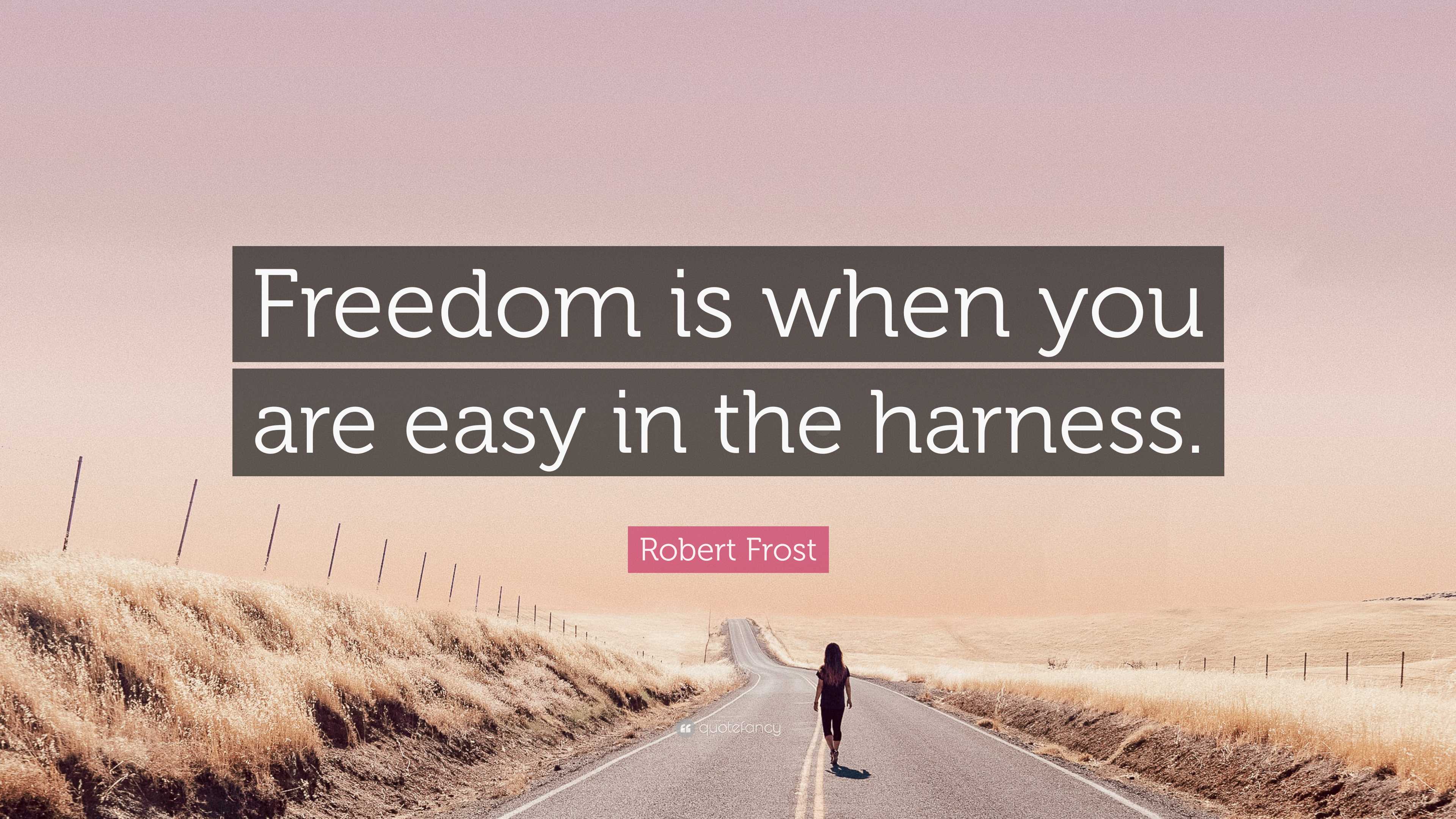 Robert Frost Quote: “Freedom is when you are easy in the harness.”