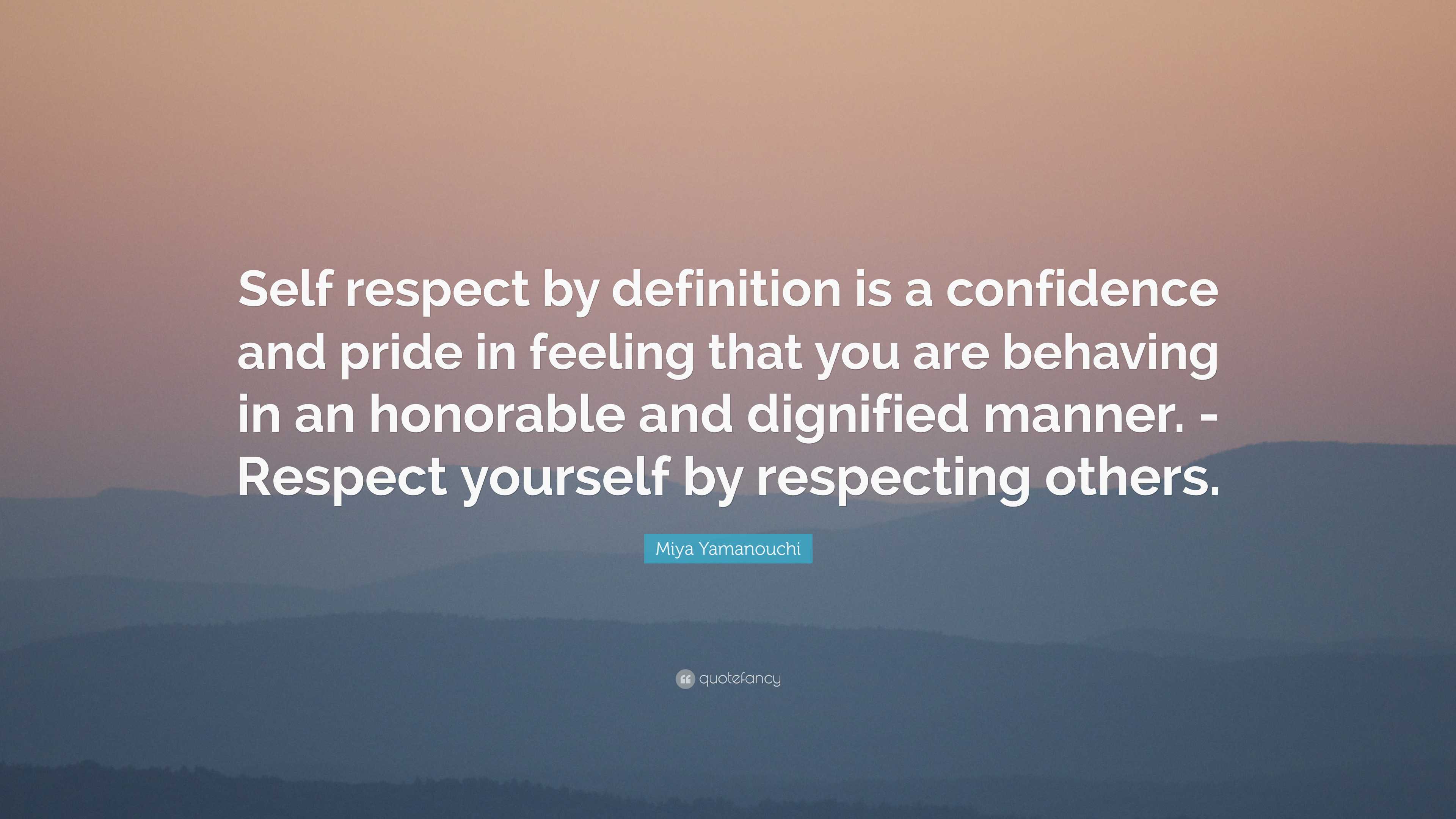 Respect Definition Quotes Respect Differences
