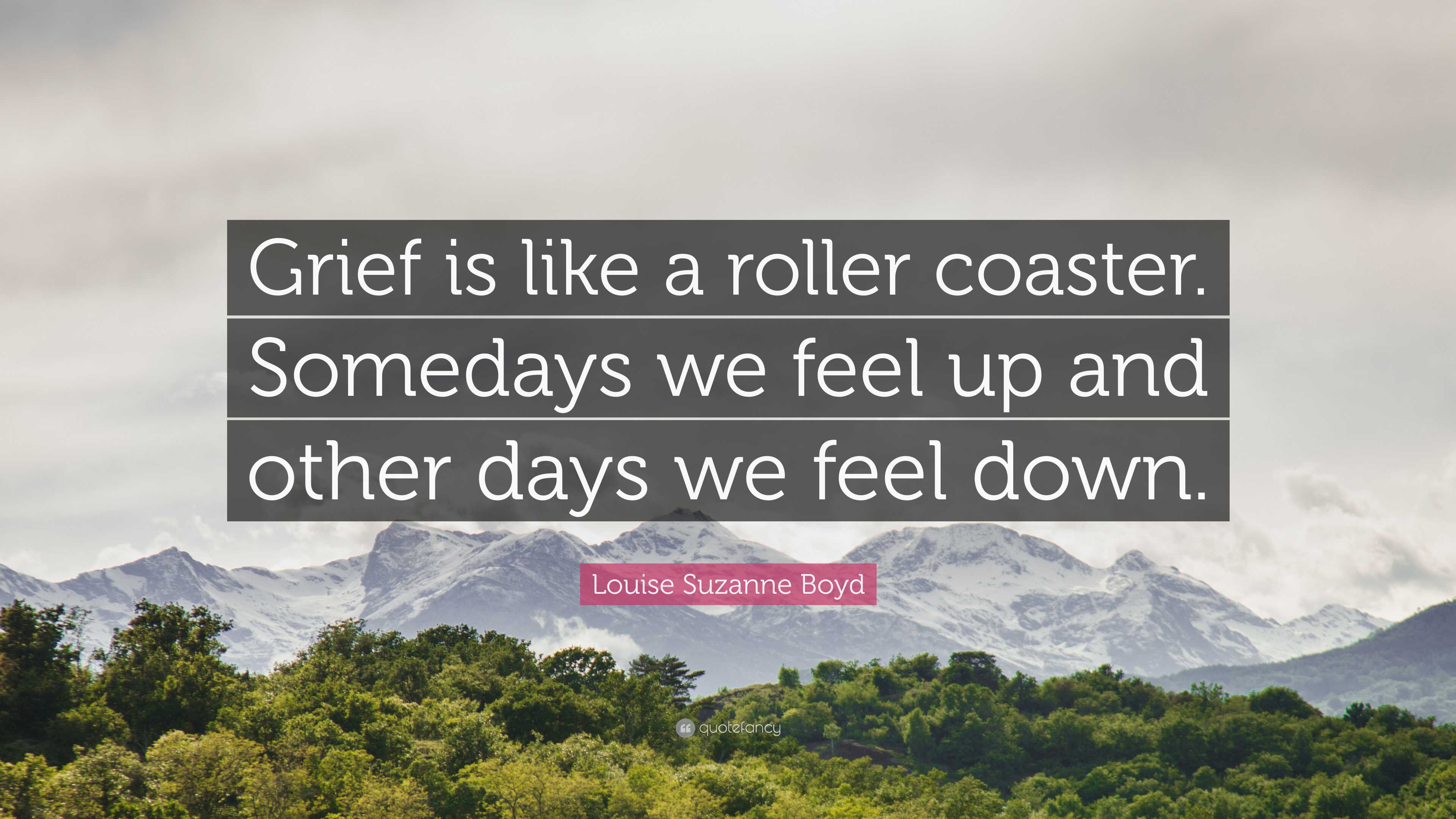 Louise Suzanne Boyd Quote: “Grief is like a roller coaster. Somedays we ...