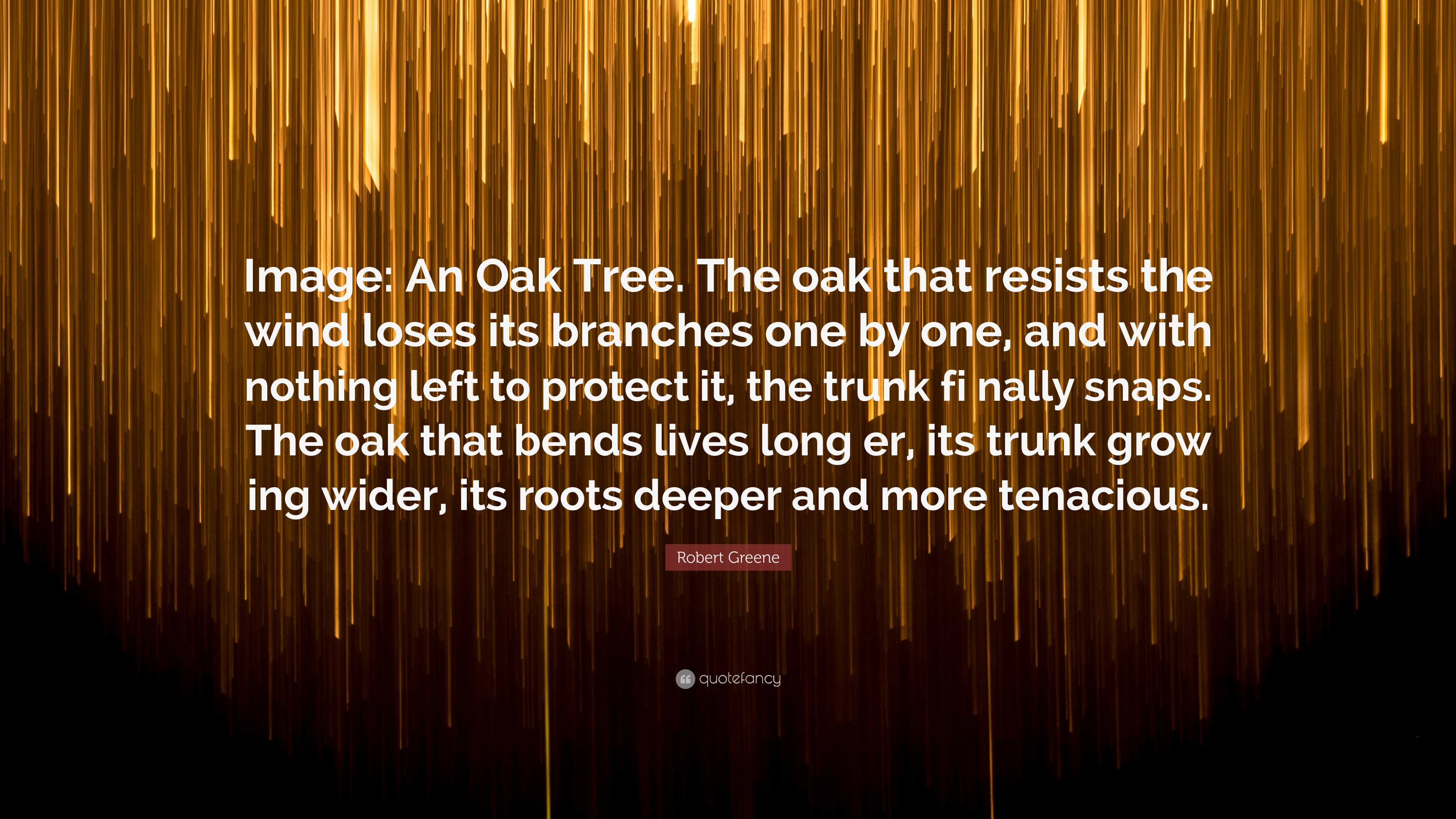 Robert Greene Quote: “Image: An Oak Tree. The oak that resists the wind ...