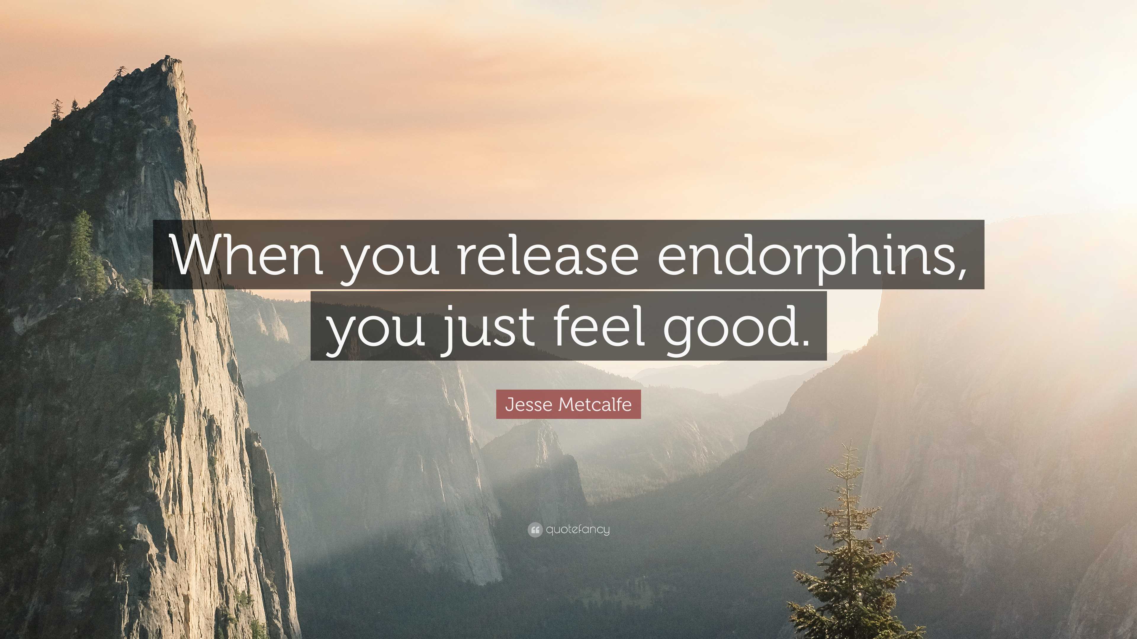 Jesse Metcalfe Quote: “When you release endorphins, you just feel good.”