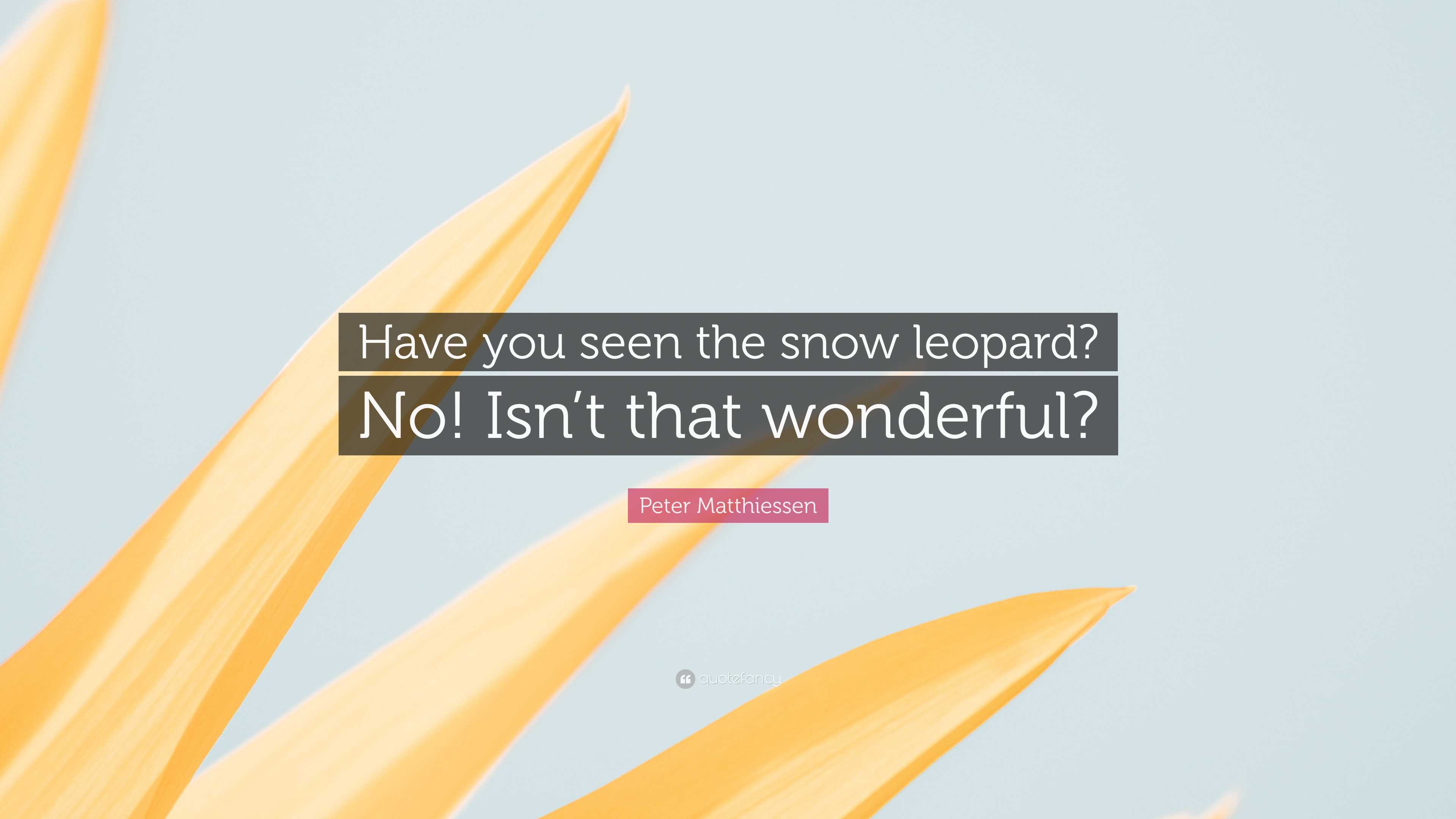 Peter Matthiessen Quote: “Have you seen the snow leopard? No! Isn’t ...