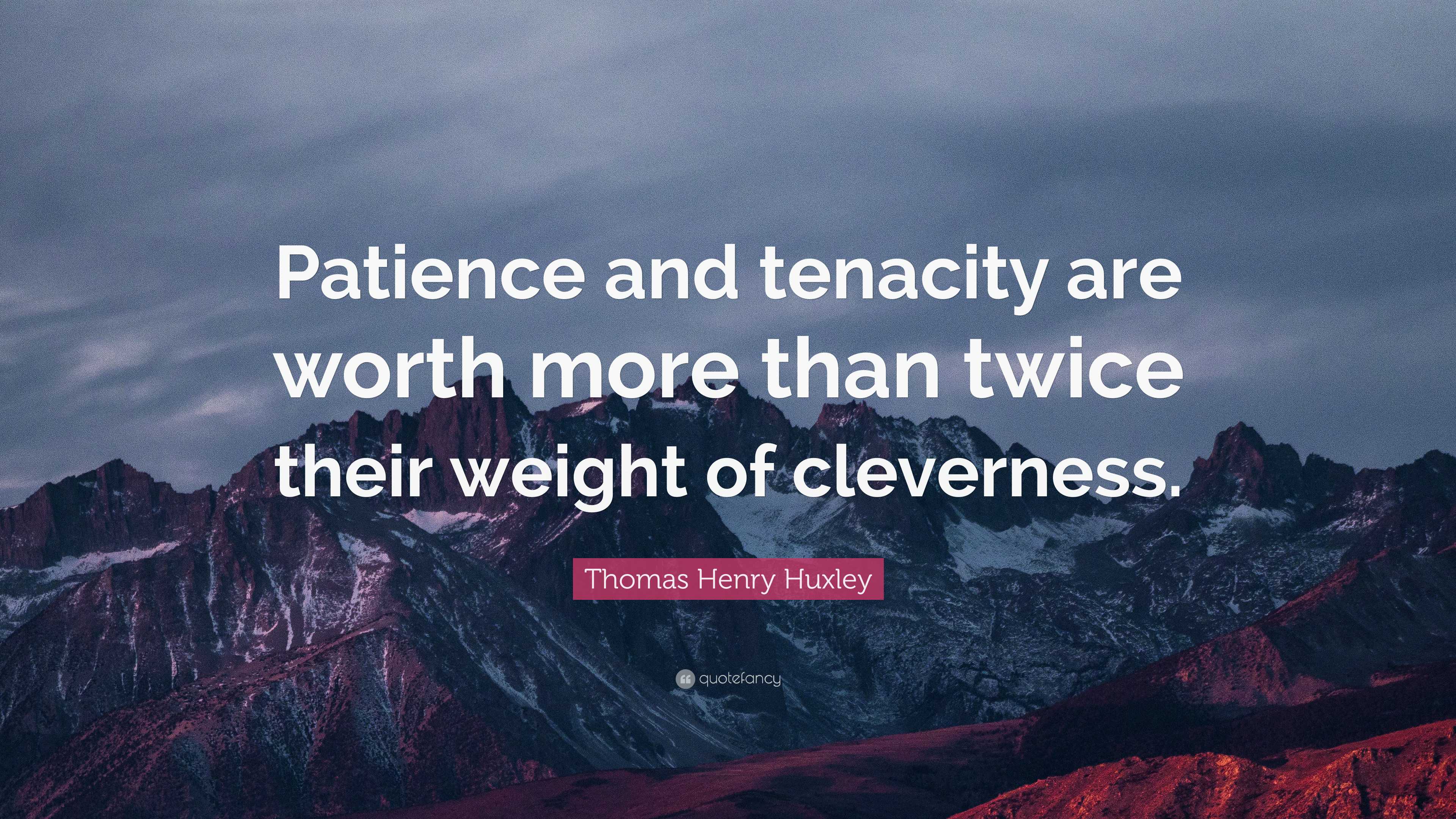 Thomas Henry Huxley Quote: “Patience and tenacity are worth more than ...