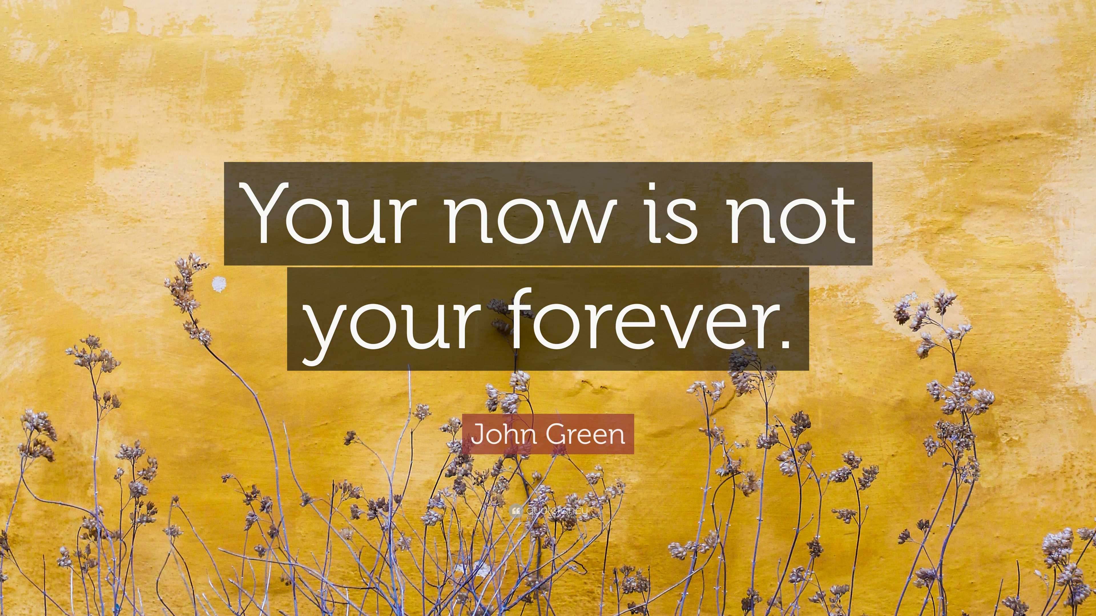John Green Quote: “Your now is not your forever.”