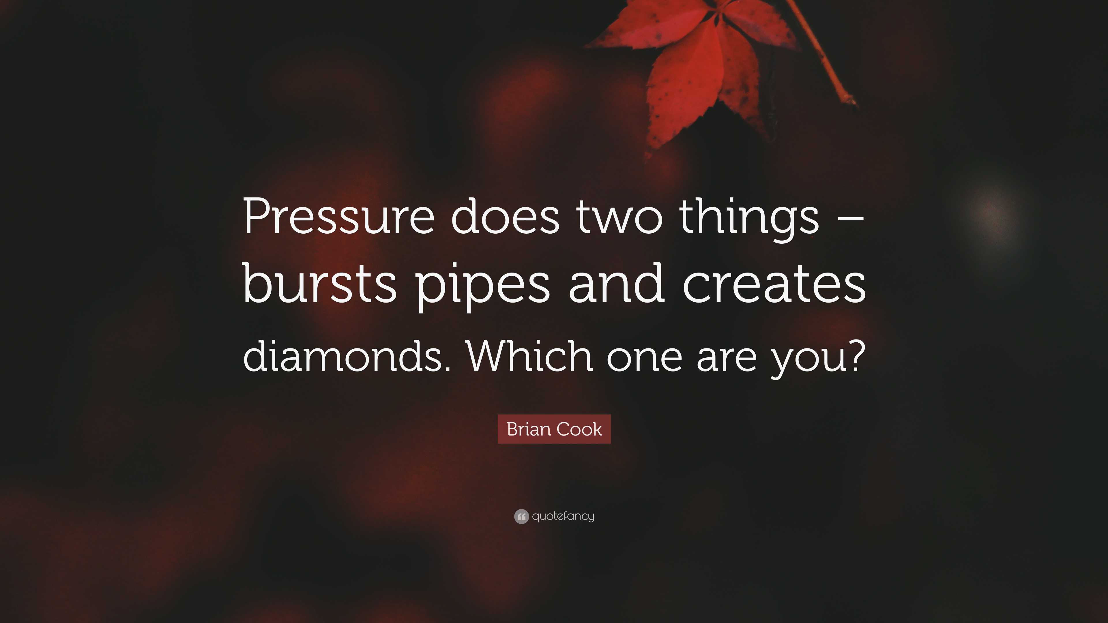 Brian Cook Quote: “Pressure does two things – bursts pipes and creates ...